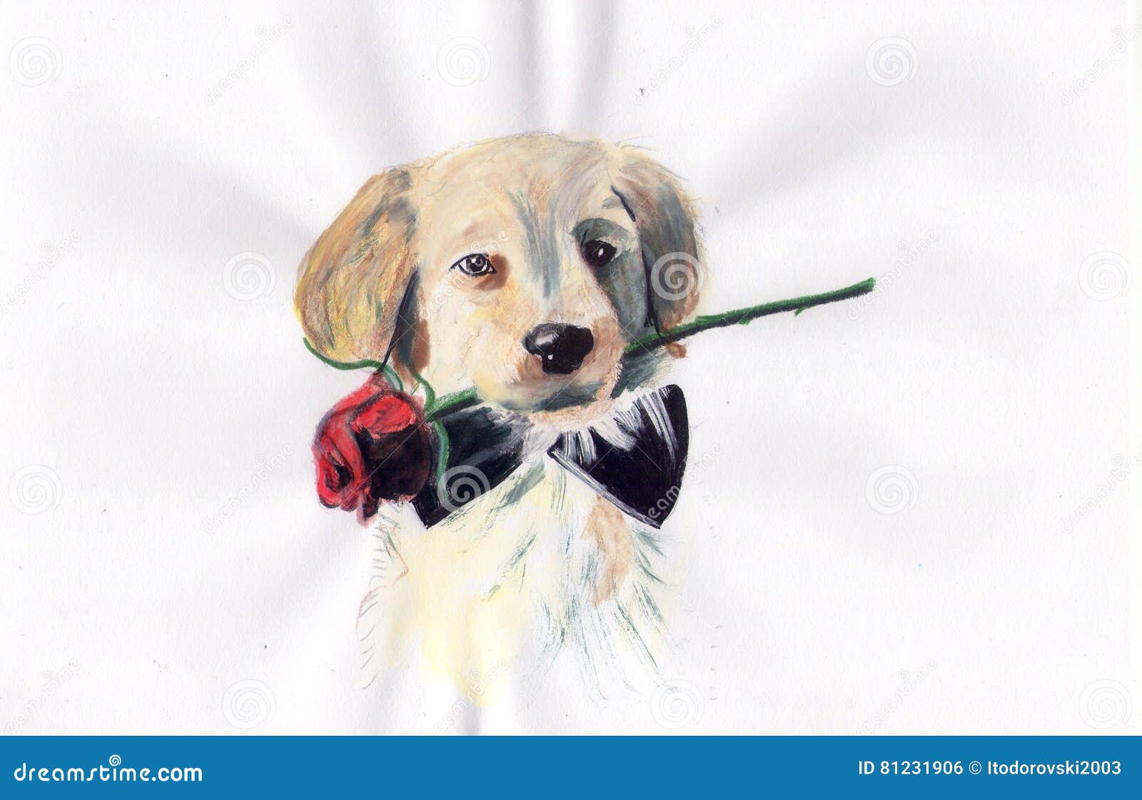 Cute dog stock illustration. Illustration of head, animal - 81231906