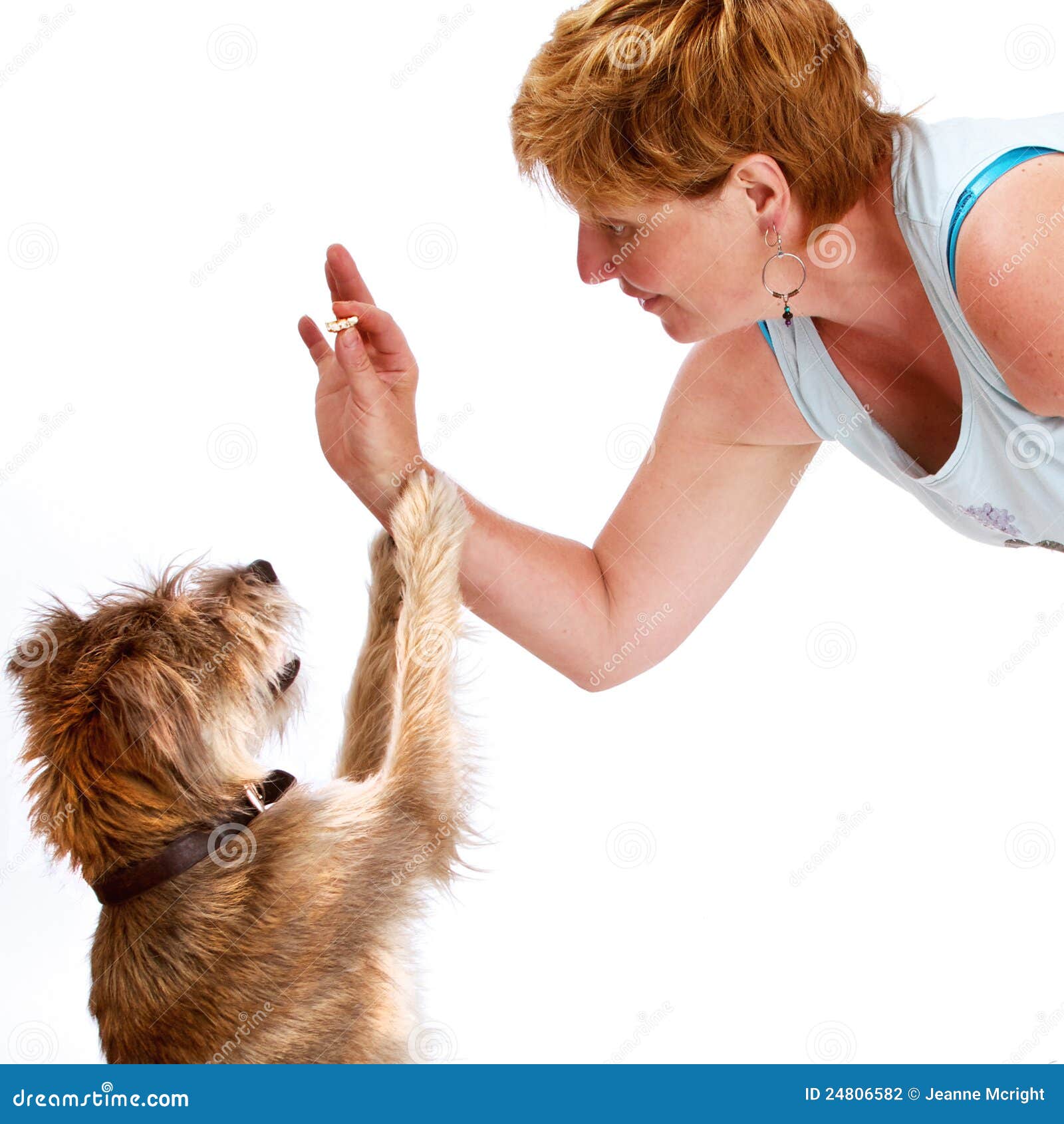 Happy Mutt Looking Down Smiling Isolated Stock Photos - Free & Royalty ...