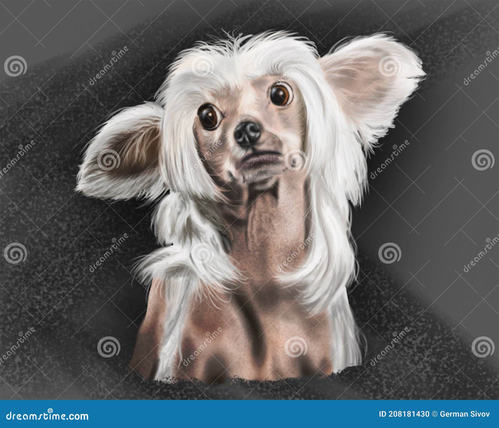 A Cute Dog with a Surprised Look Stock Illustration - Illustration of ...