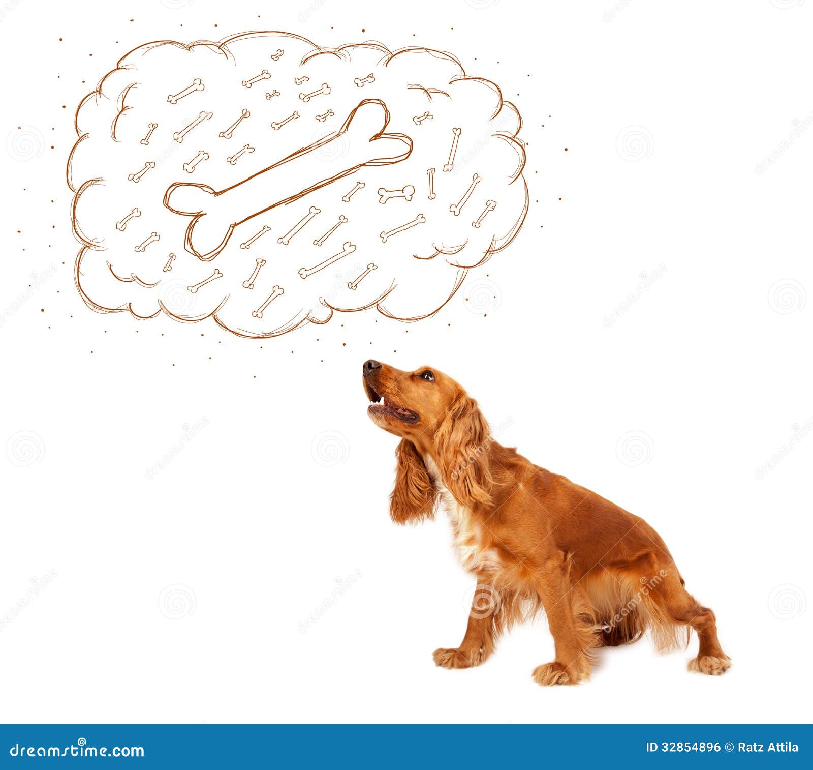 Cute Dog with Thought Bubble Thinking about a Bone Stock Photo - Image ...