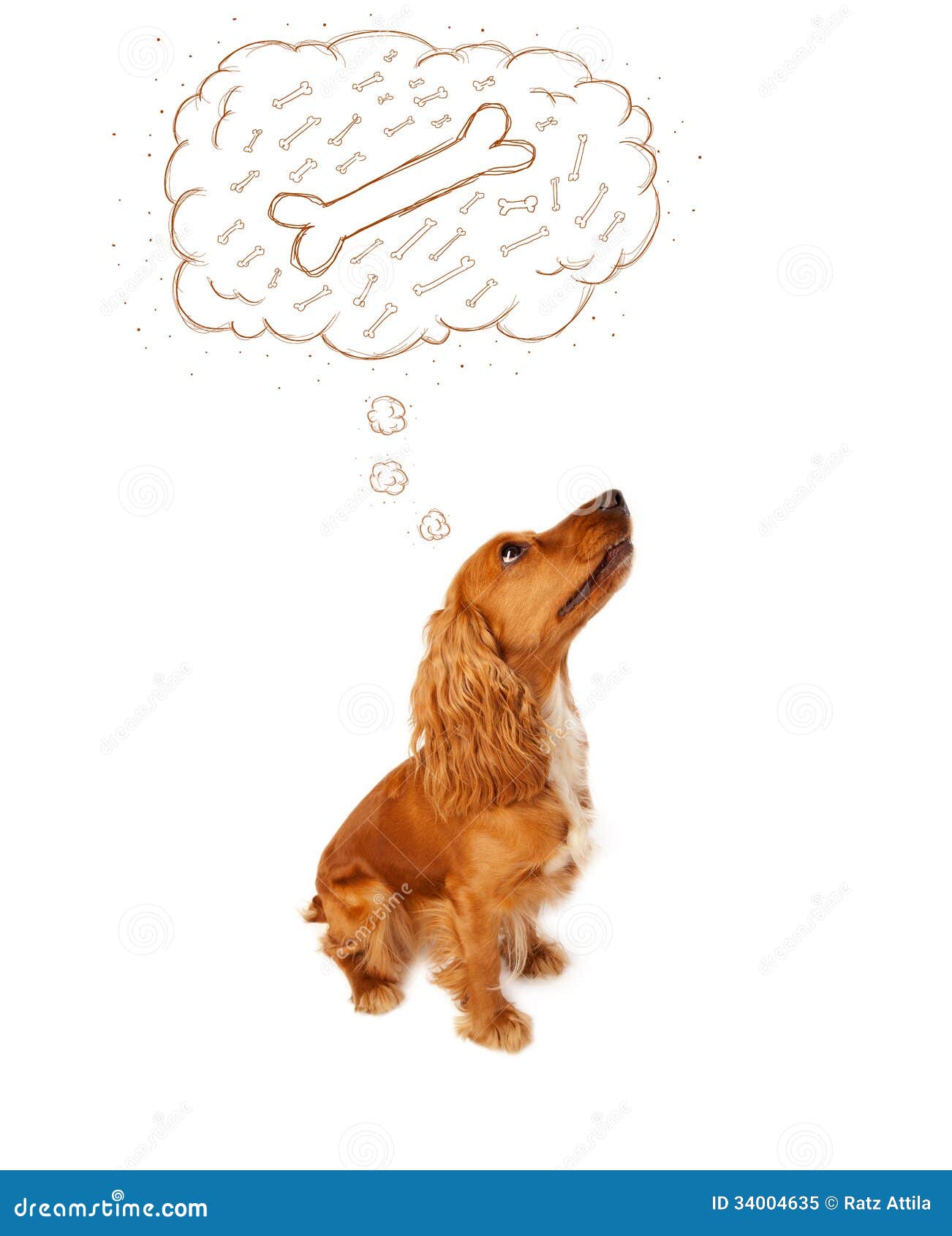 Cute Dog With Thought Bubble Thinking About A Bone Royalty Free Stock ...