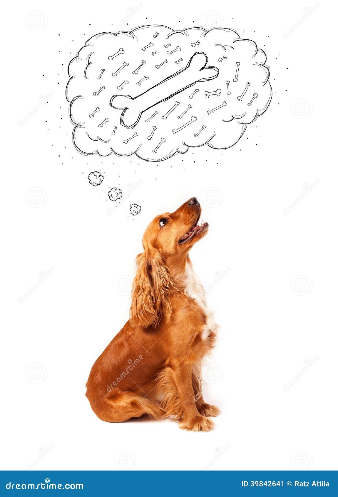 Cute Dog with Thought Bubble Thinking about a Bone Stock Image - Image ...