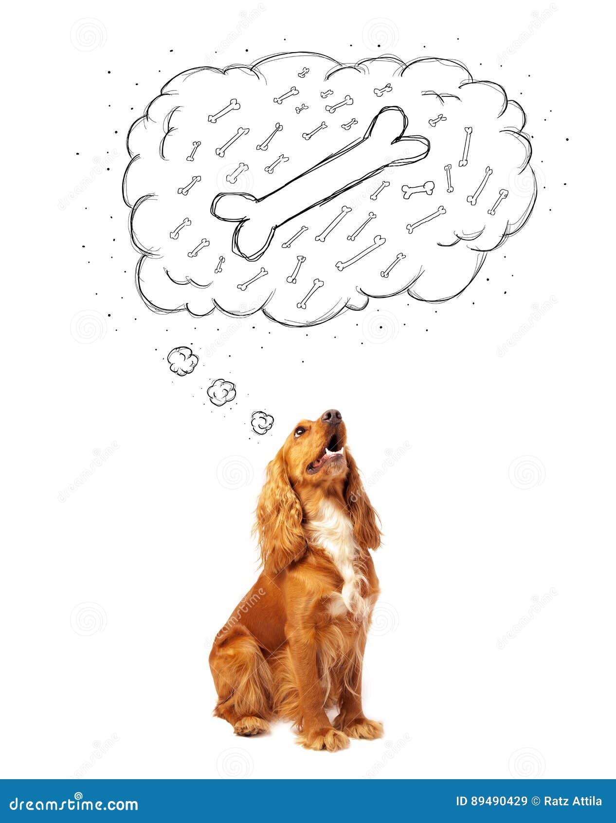 Cute Dog with Thought Bubble Thinking about a Bone Stock Image - Image ...
