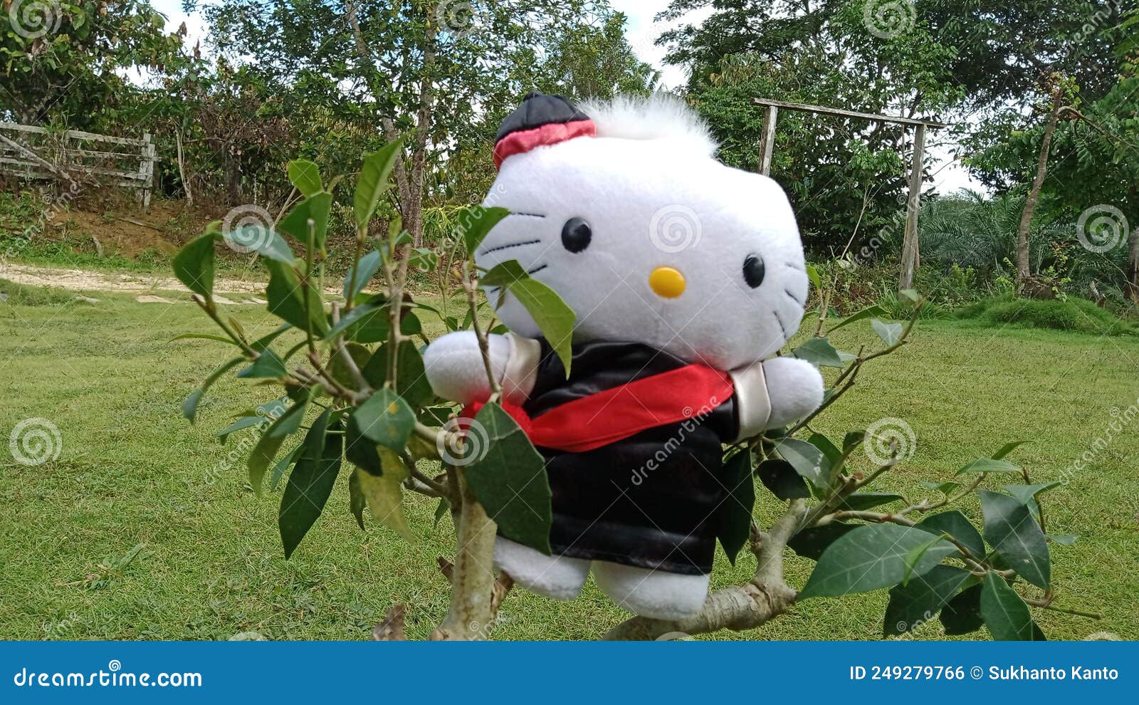 Cute Doll is Climbing on the Tree Editorial Photo - Image of grass ...