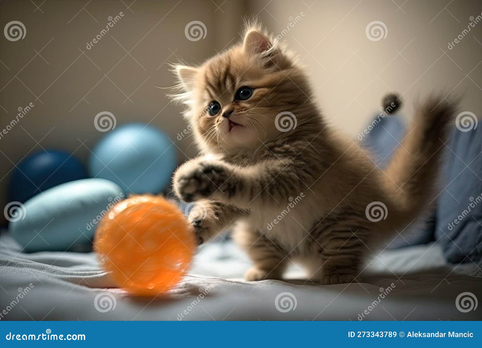 Cute domestic cat playing stock illustration. Illustration of curious ...