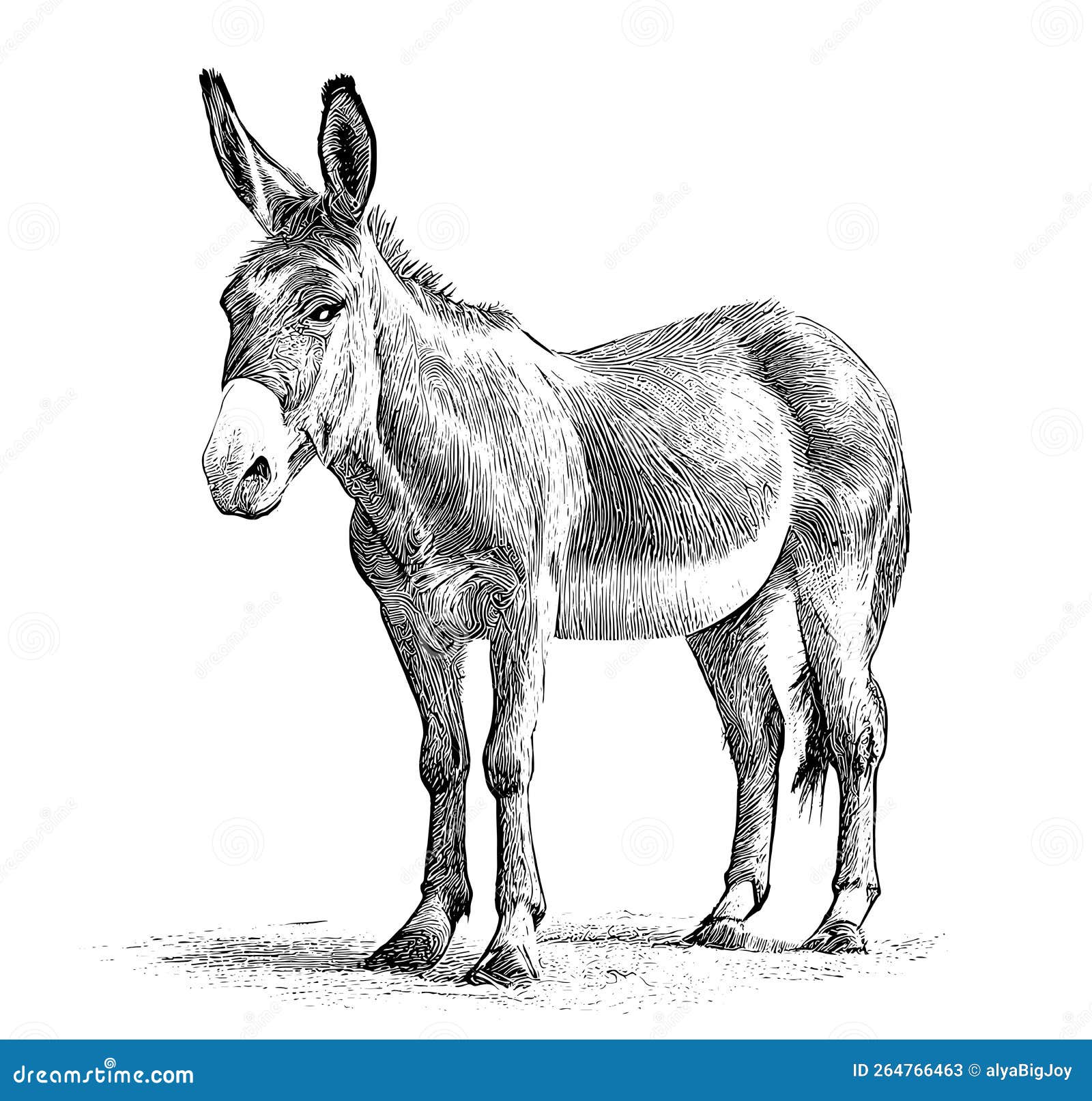 Cute Donkey Sketch Hand Drawn Engraving Style Stock Vector ...