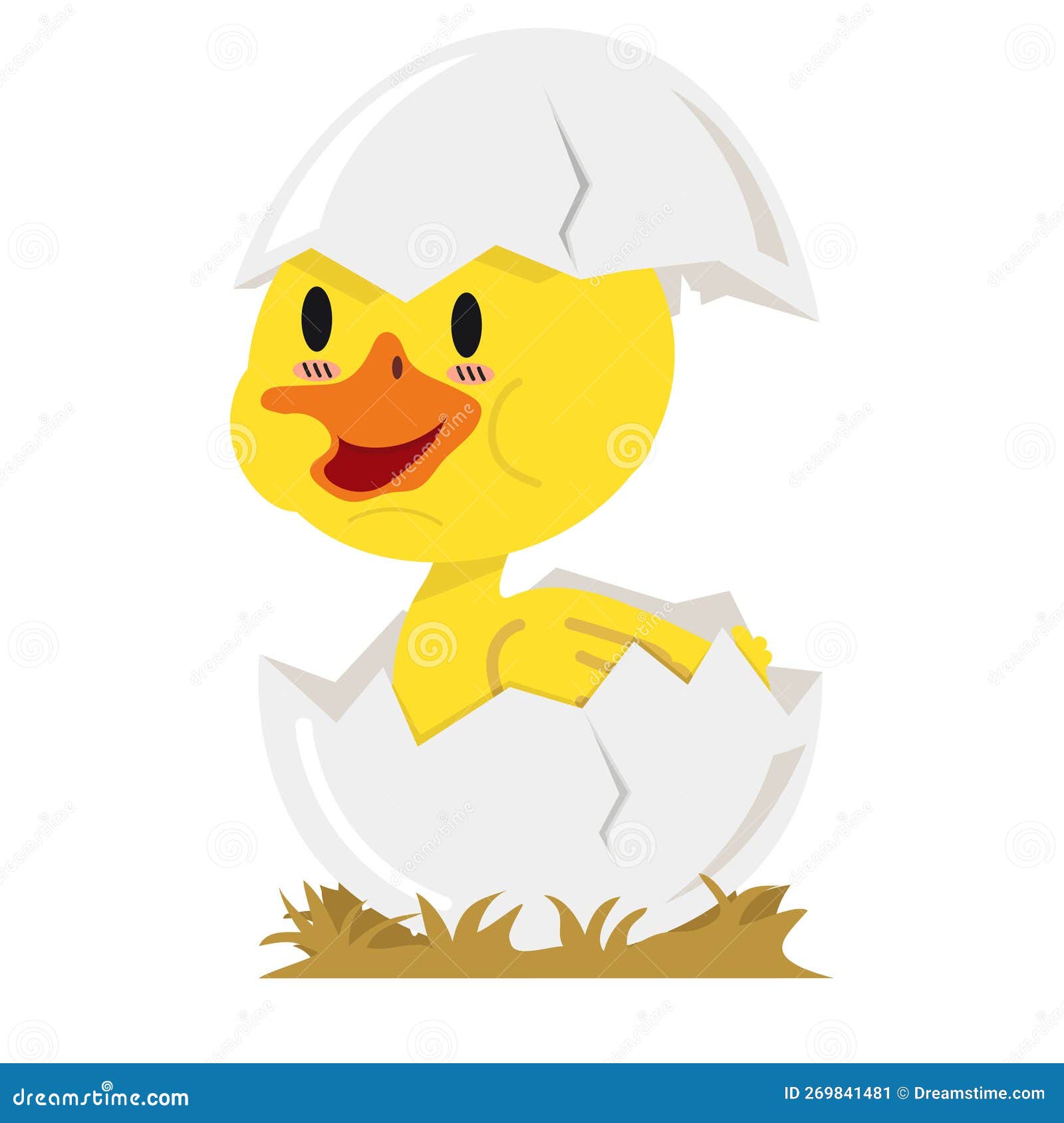 Duck Eggs Hatching Cartoon
