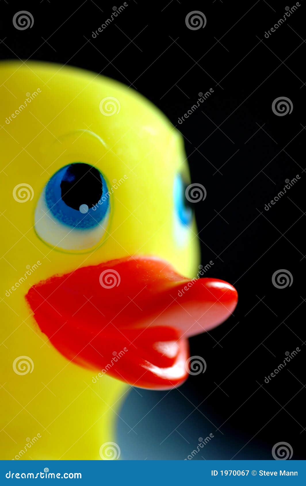 Cute Ducky stock image. Image of ducks, smile, time, beak - 1970067