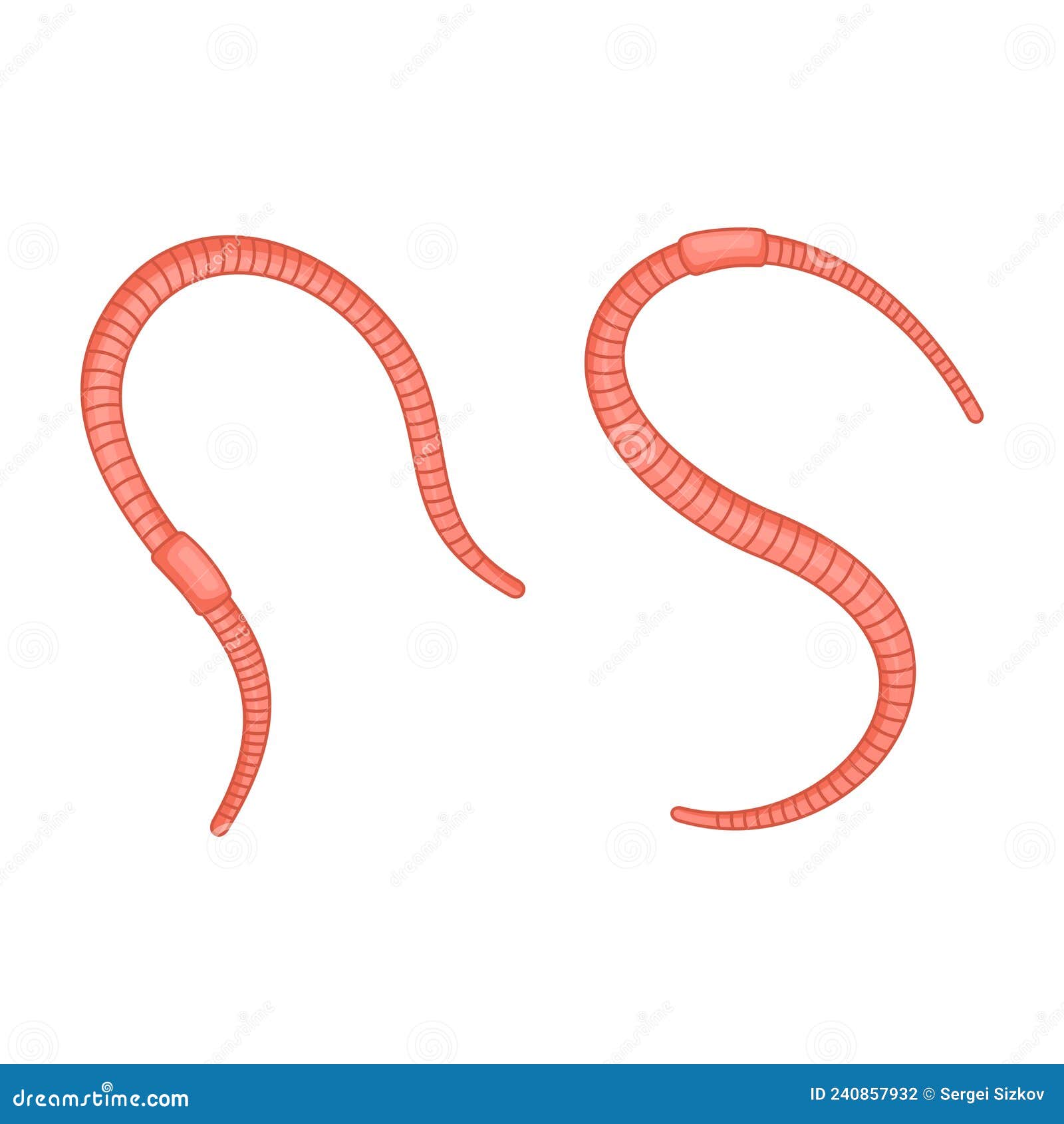 Cute Earthworm Set on White Background. Vector Stock Vector ...