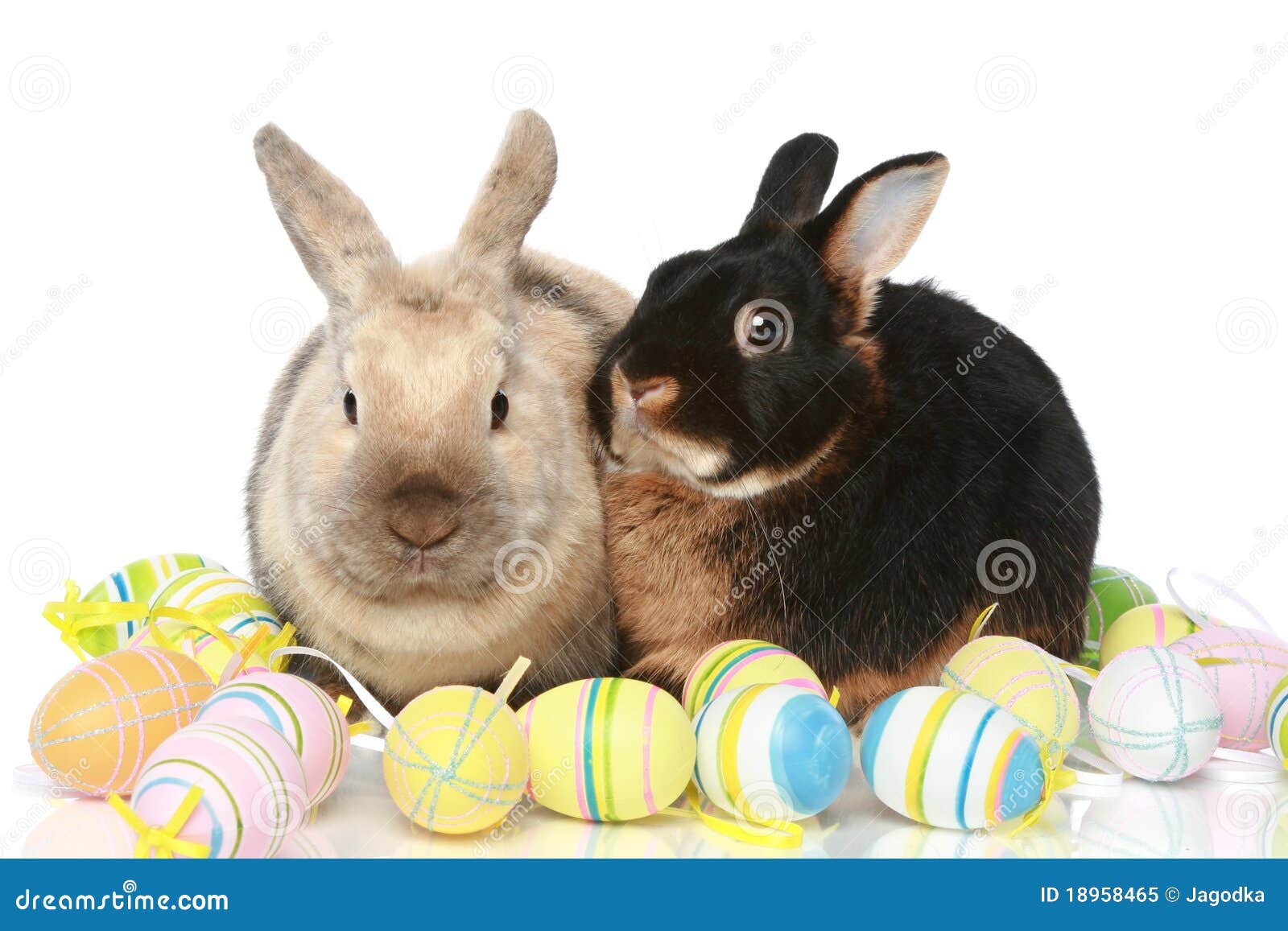 Cute Easter Bunnies with Colored Eggs Stock Image - Image of cute ...