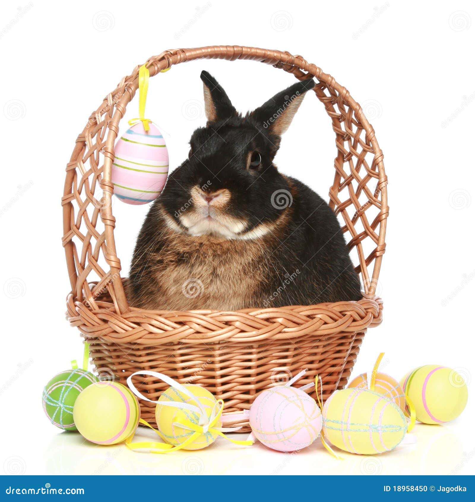 Cute Easter Bunny with Colored Eggs Stock Photo - Image of coney ...