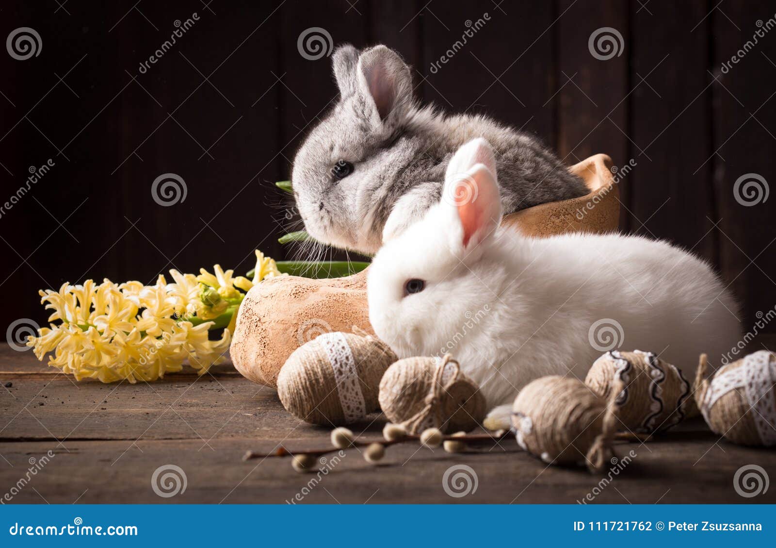 Cute Easter Bunny with Colored Eggs Stock Photo - Image of basket ...