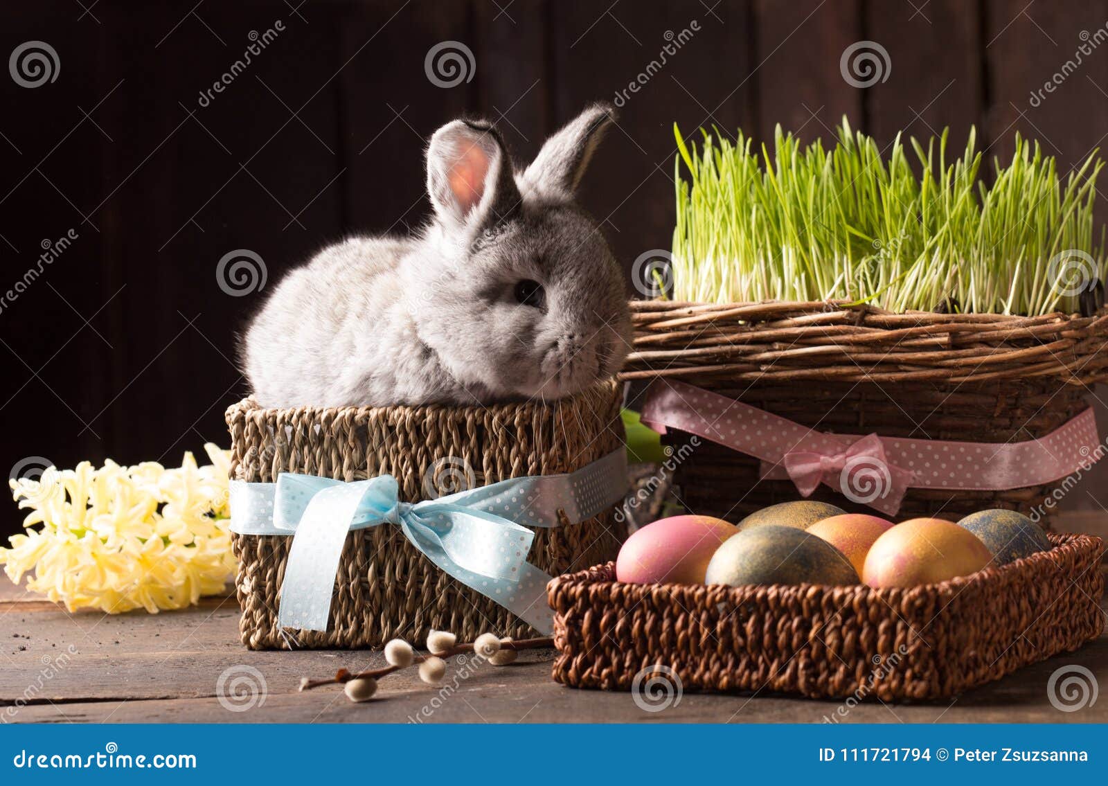 Cute Easter Bunny with Colored Eggs Stock Photo - Image of painted ...