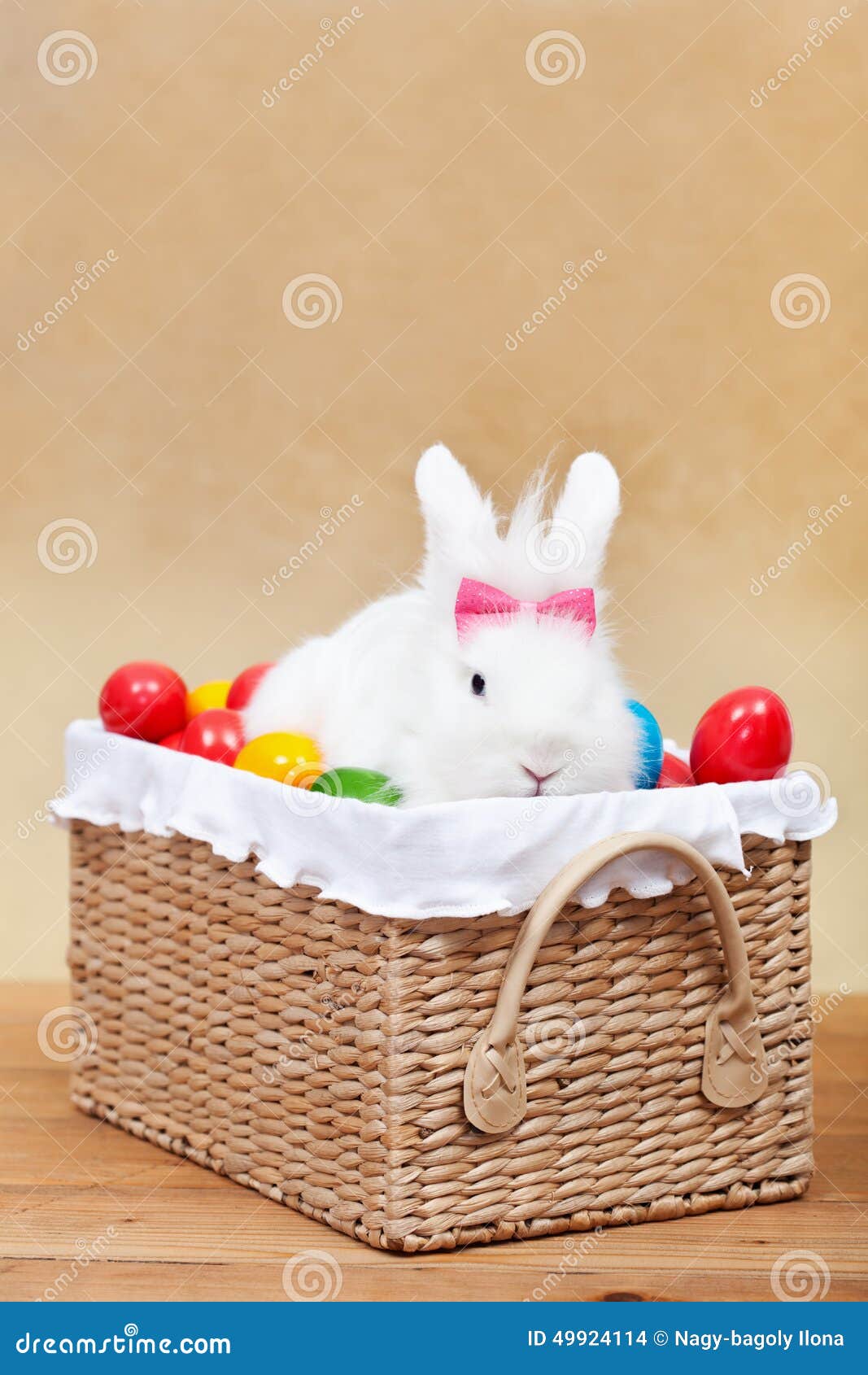 Cute Easter Bunny with Colorful Eggs Stock Photo - Image of easter ...