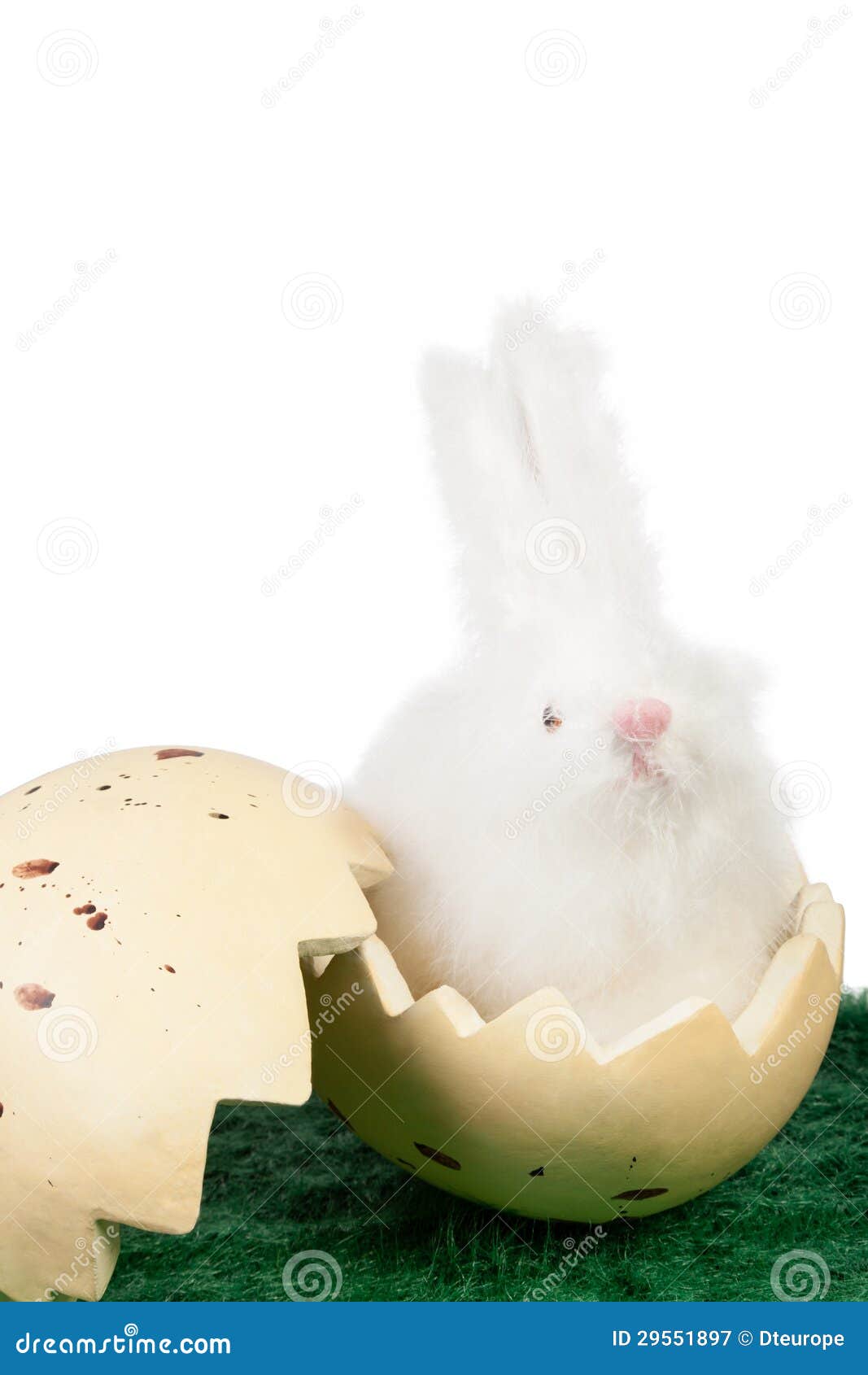 Cute Easter Bunny in an Eggshell Stock Image - Image of festive, season ...