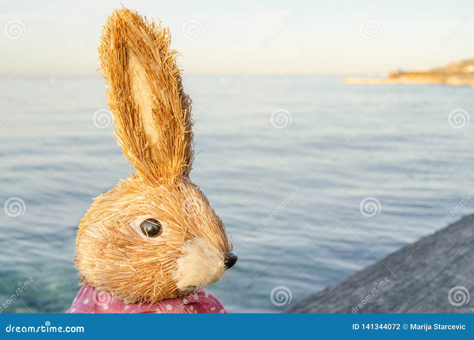 Cute Easter Bunny Head Shoot and Sea in the Background Stock Photo ...