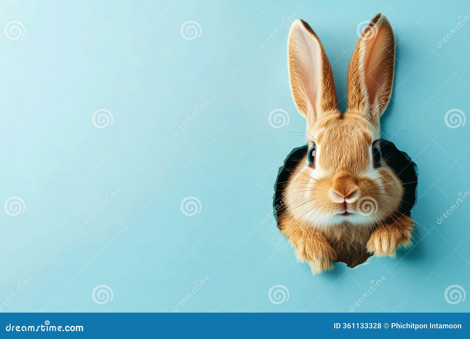 Cute Easter Bunny Peaking Curiously through Hole on Isolated Background ...