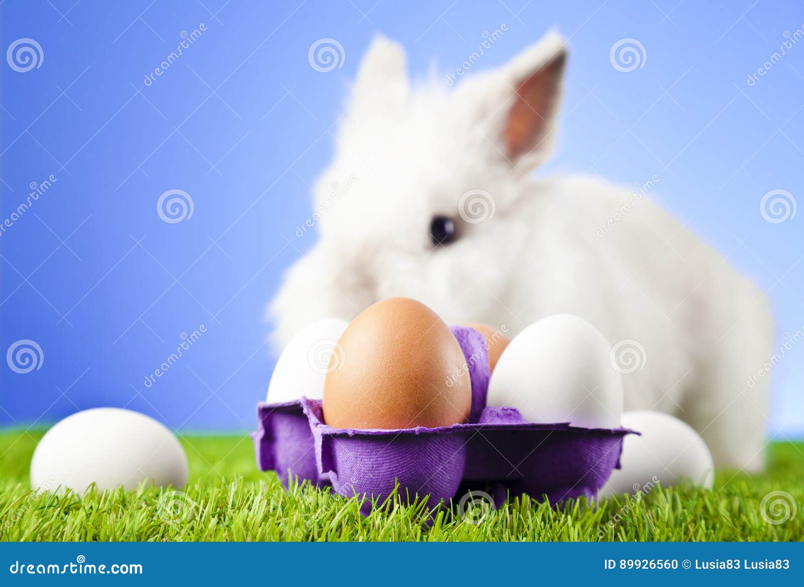 Cute Easter Bunny Sitting in Green Grass Stock Photo - Image of ...