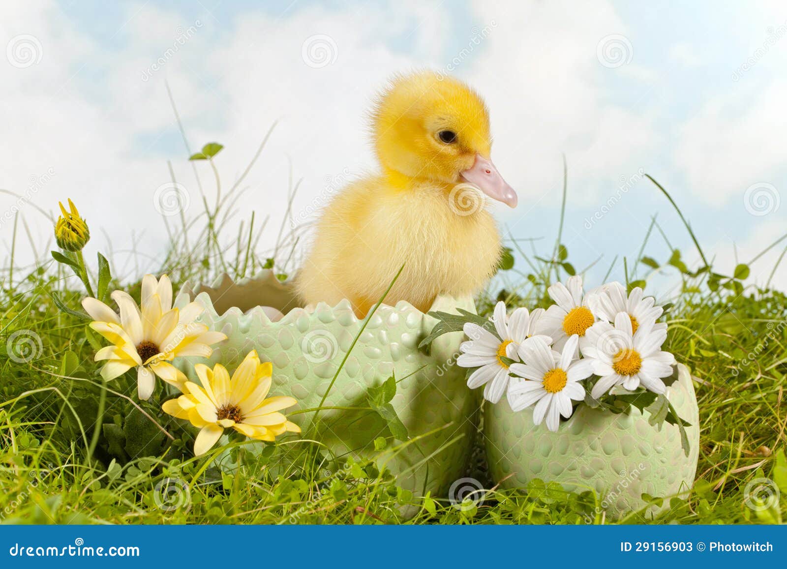 Cute Easter Duckling Stock Photos - Image: 29156903