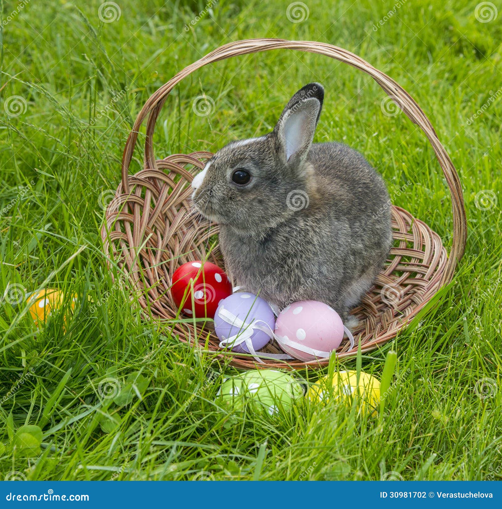 A cute easter rabbit stock photo. Image of bunny, celebration - 30981702