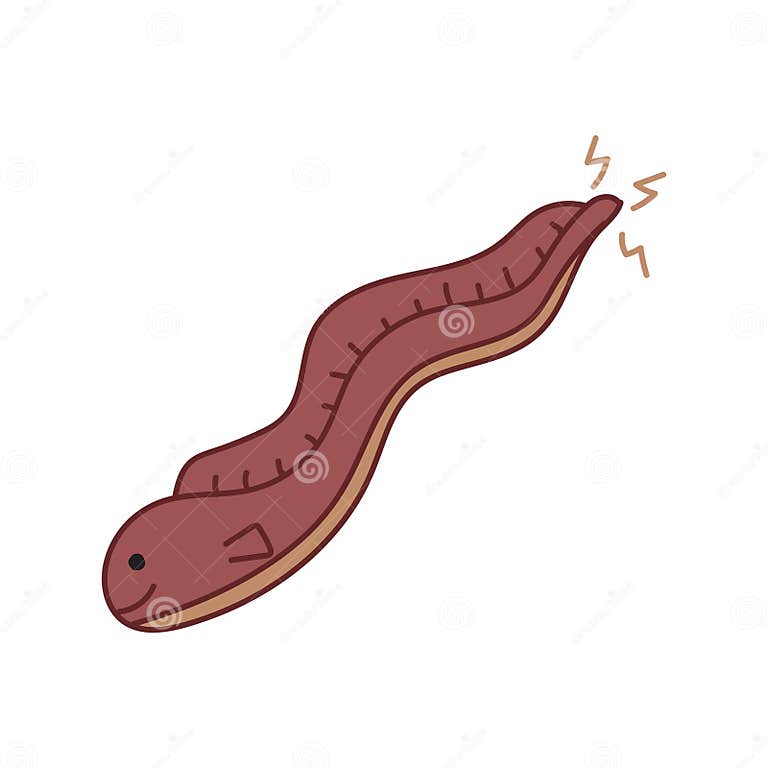 Cute Electric Eels Hand Drawn Vector Illustration Design Element Stock ...