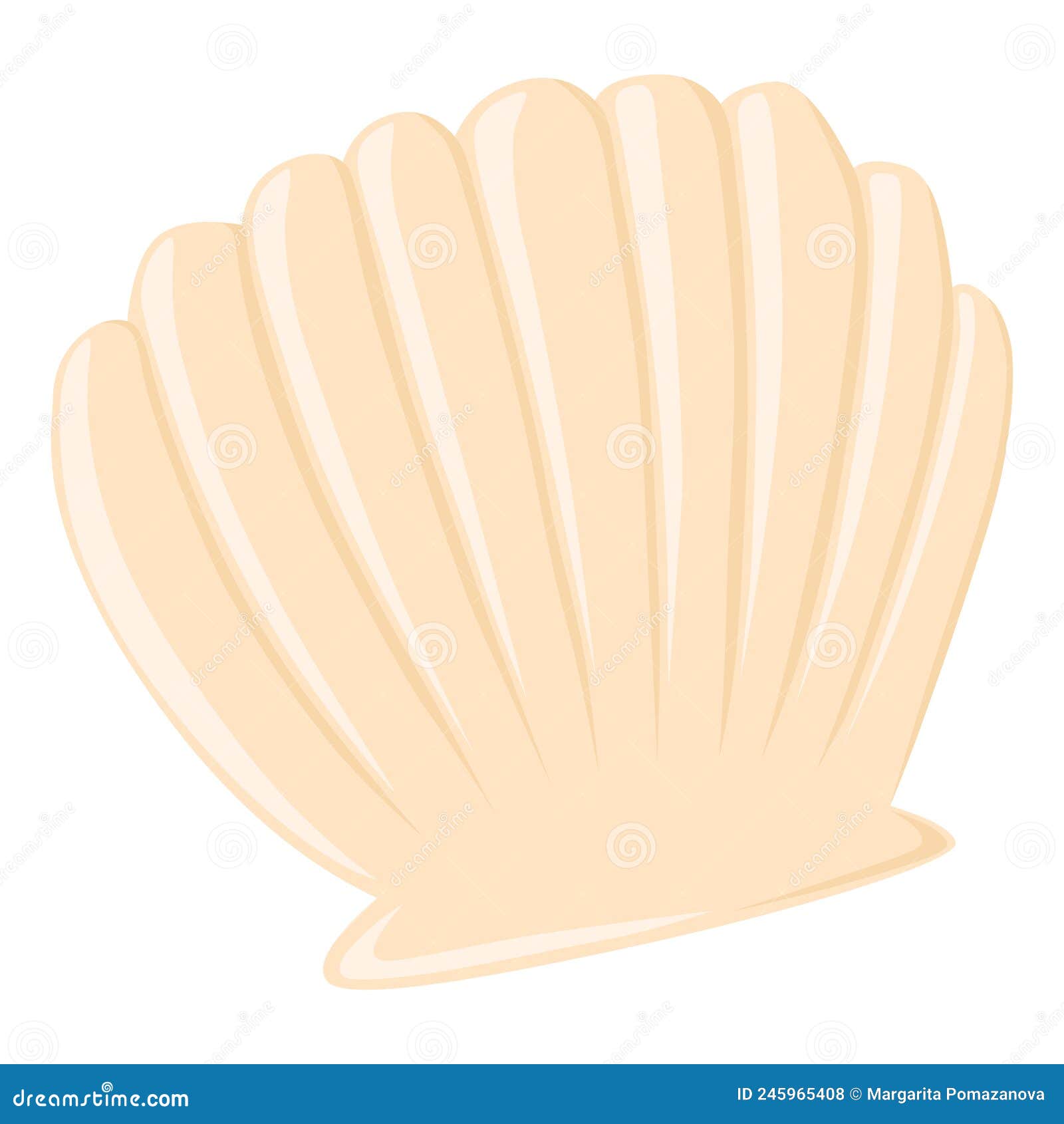 Cute Empty Seashell Flat Vector Isolated Illustration Stock Vector ...