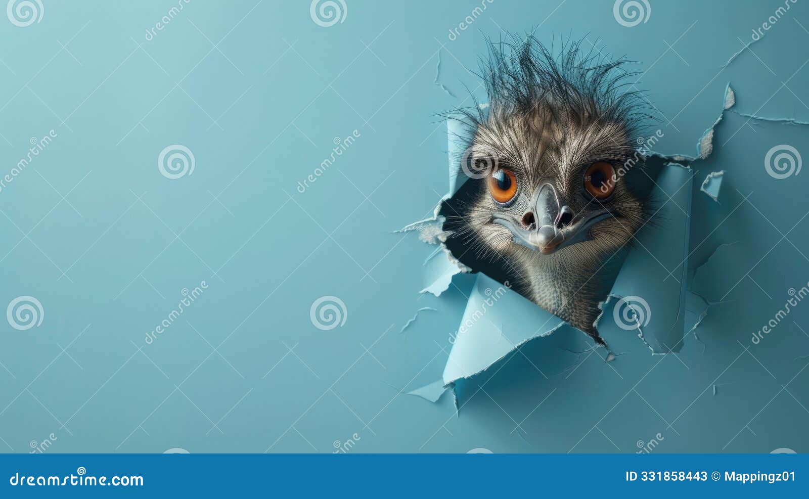 Cute Emu Peeking through a Hole Stock Illustration - Illustration of ...