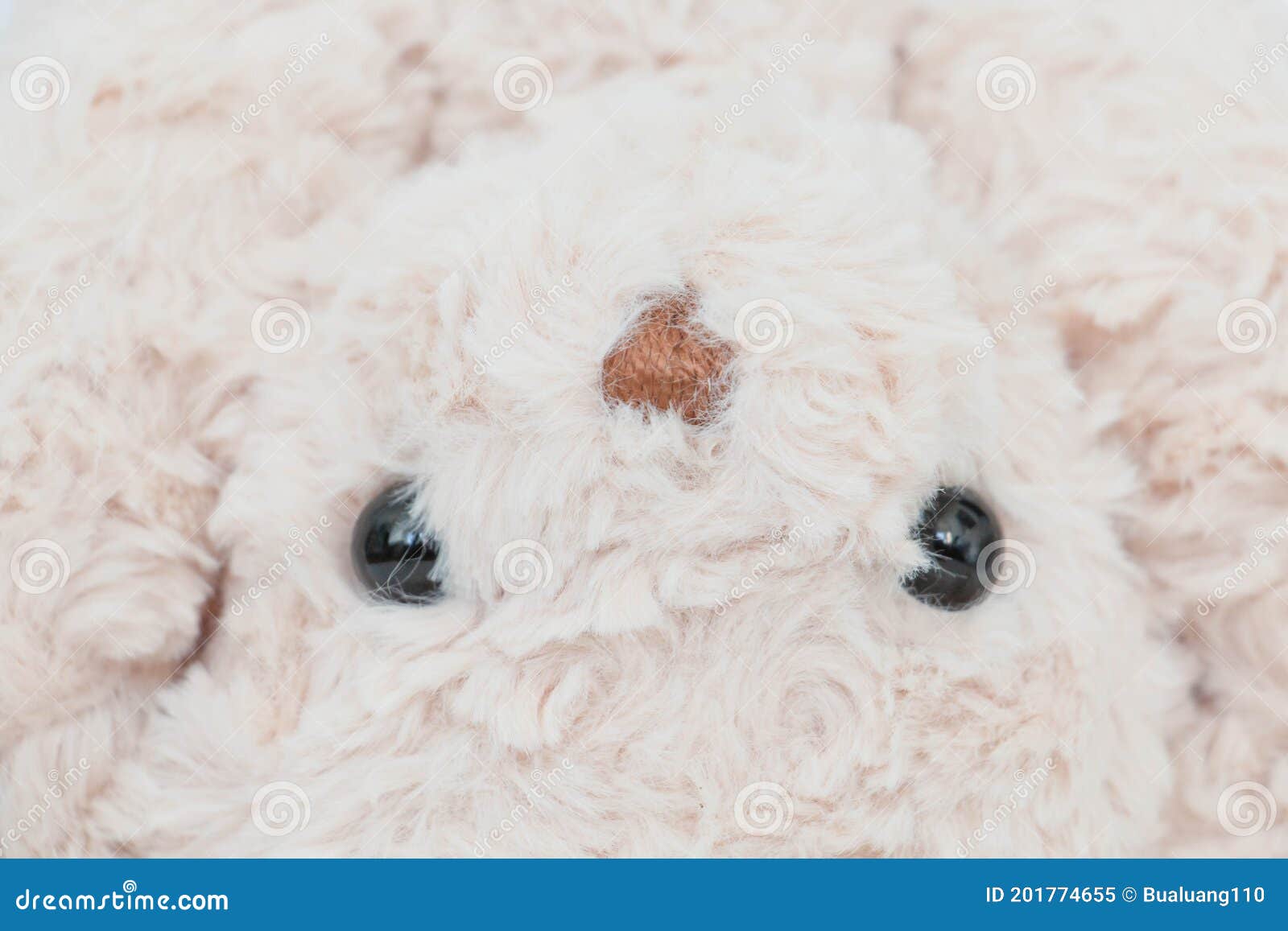 A cute face of teddy bear stock image. Image of love - 201774655