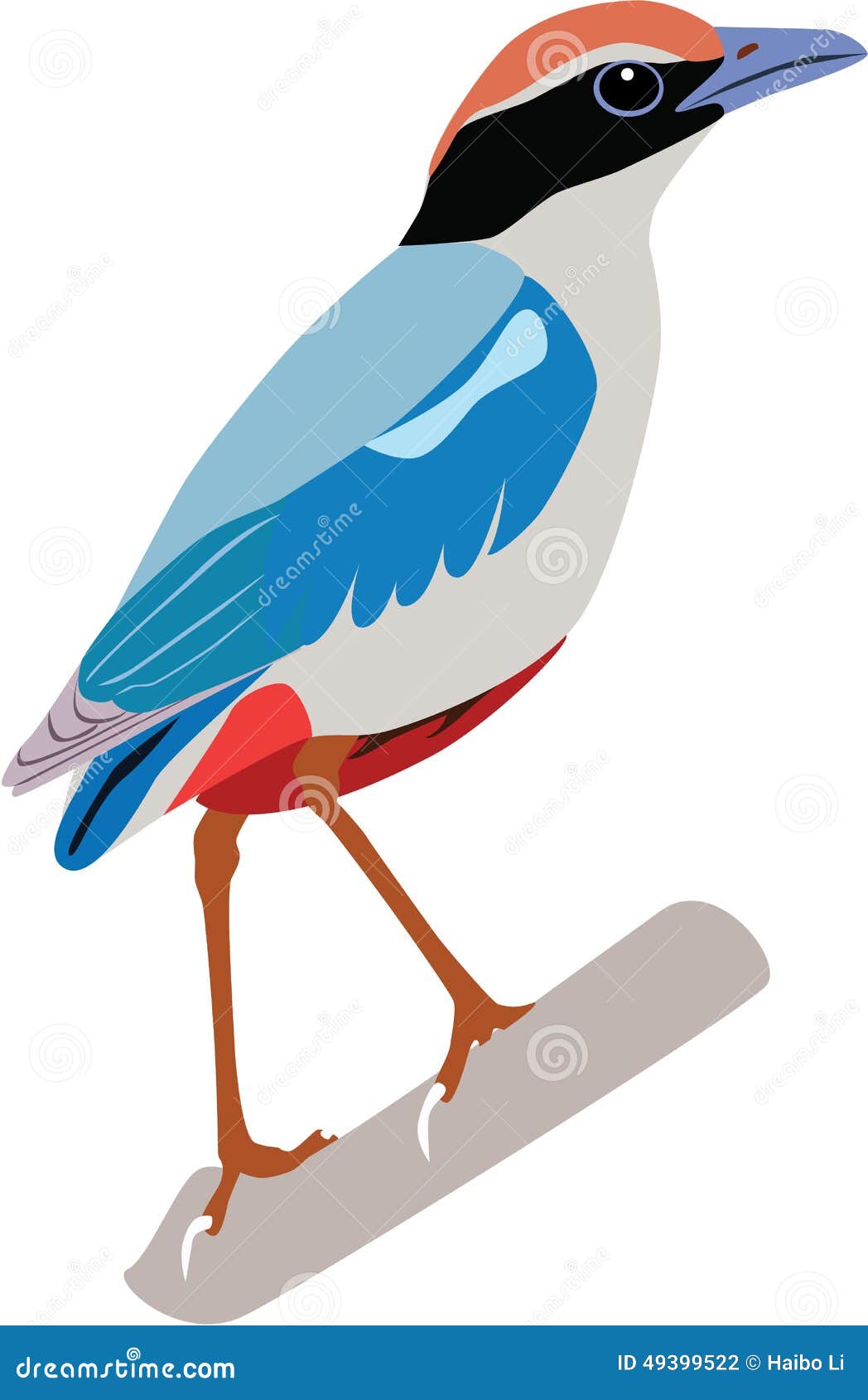 Cute Fairy Pitta vector stock vector. Illustration of cute - 49399522