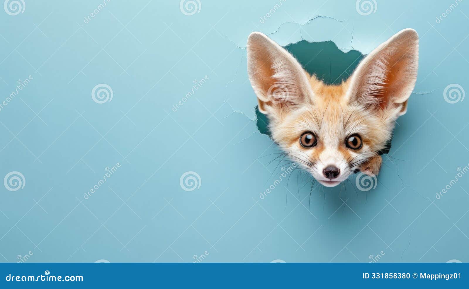 Cute Fennec Fox Peeking through a Hole Stock Illustration ...