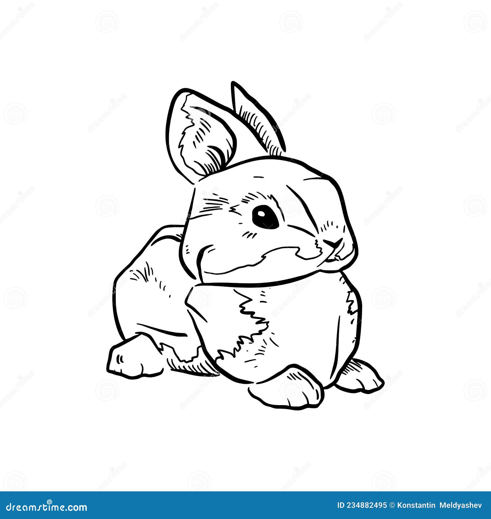 Cute Fluffy Bunny Sketch Vector Illustration Hand Draw Stock Vector ...