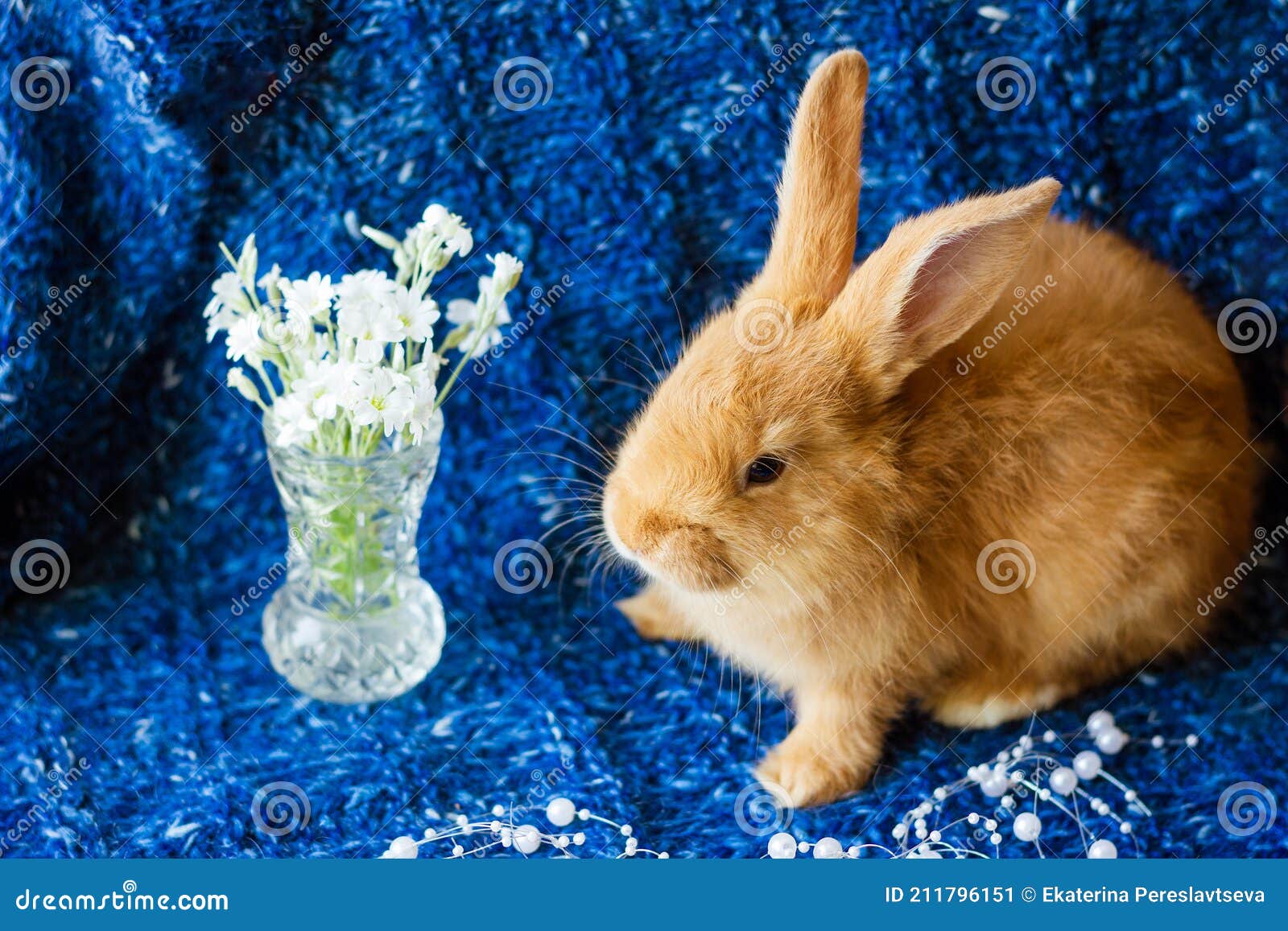 Cute Fluffy Ginger Rabbit on a Blue Background with a Bouquet of ...