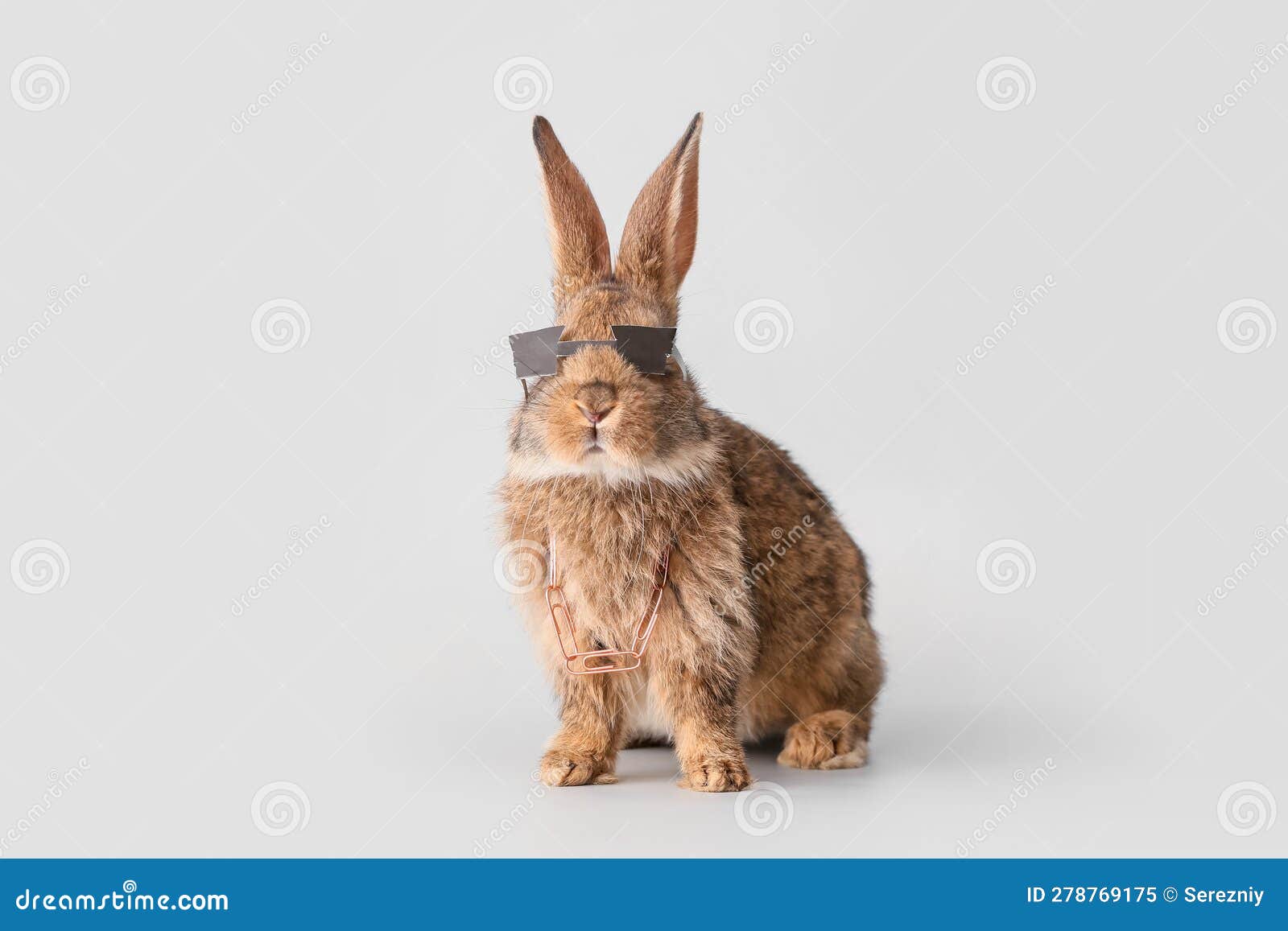 Cute Fluffy Rabbit with Funny Decor on Light Background Stock Image ...