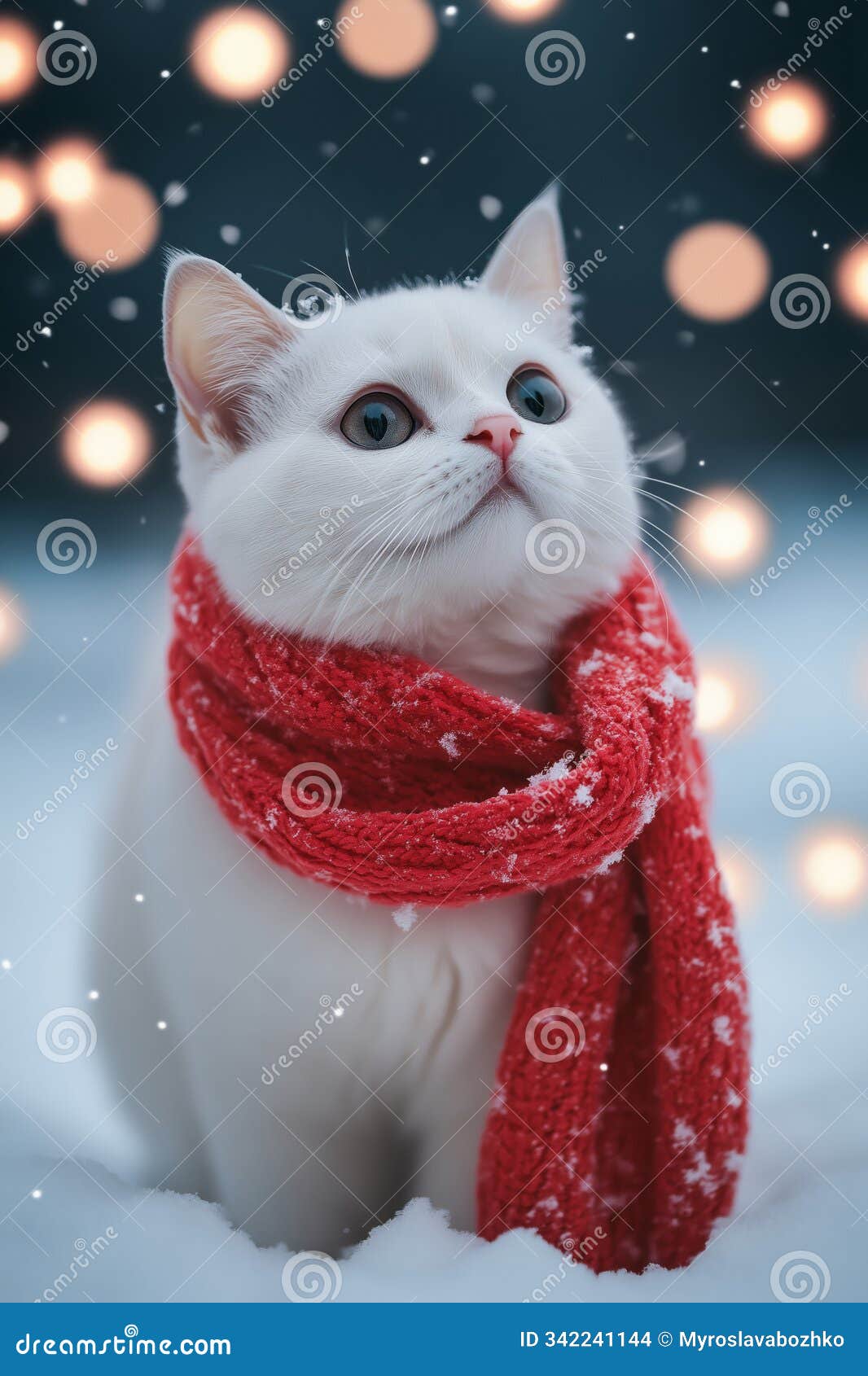Cute Fluffy White Cat with Red Scarf. Stock Illustration - Illustration ...