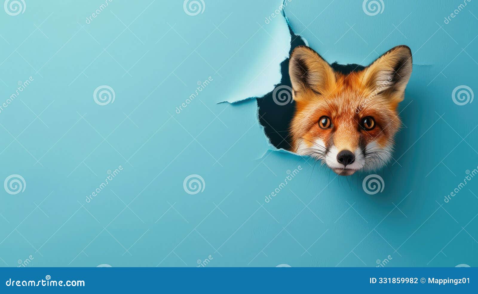 Cute Fox Peeking through a Hole Stock Illustration - Illustration of ...