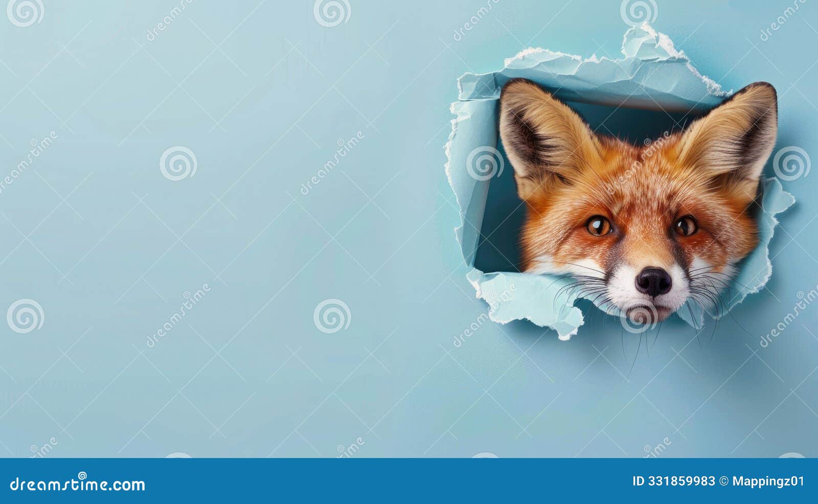 Cute Fox Peeking through a Hole Stock Illustration - Illustration of ...