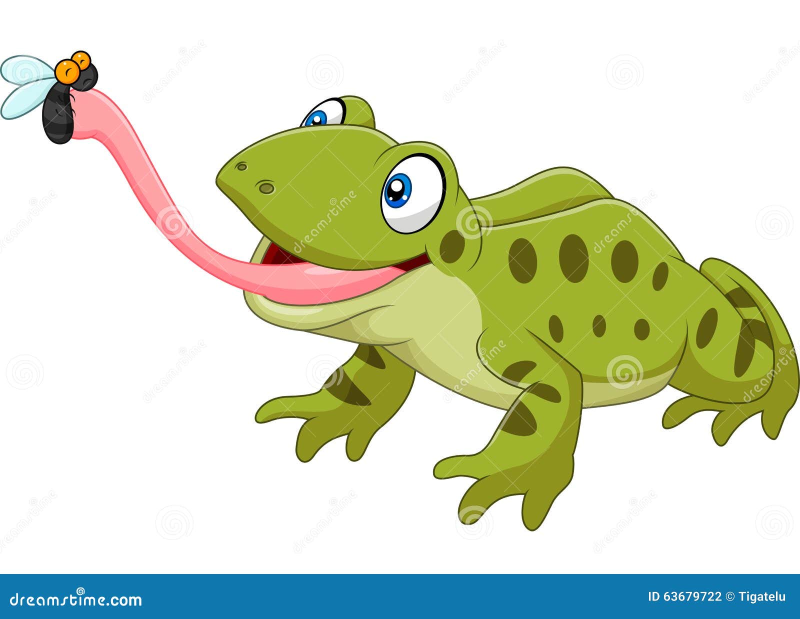 Cute Frog Catching Fly Isolated on White Background Stock Vector ...