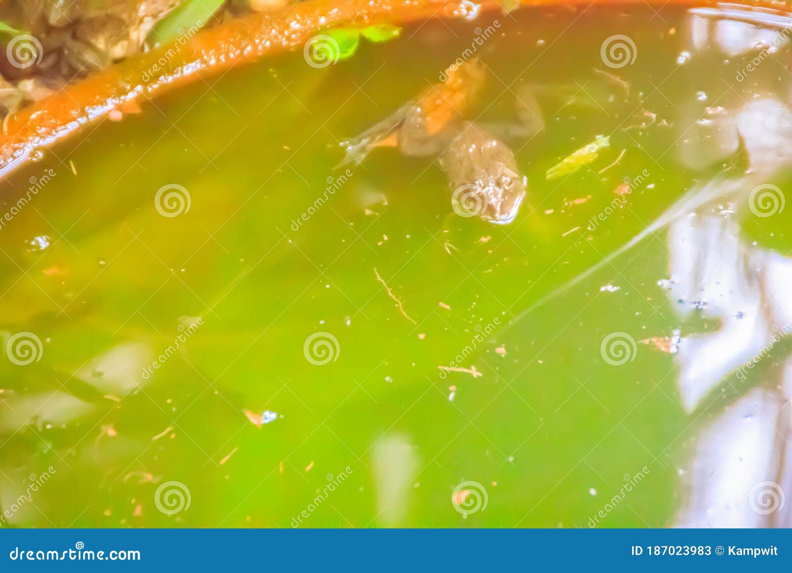 Cute Frog is Floating on the Green Water in the Fish Pond. a Green Frog ...
