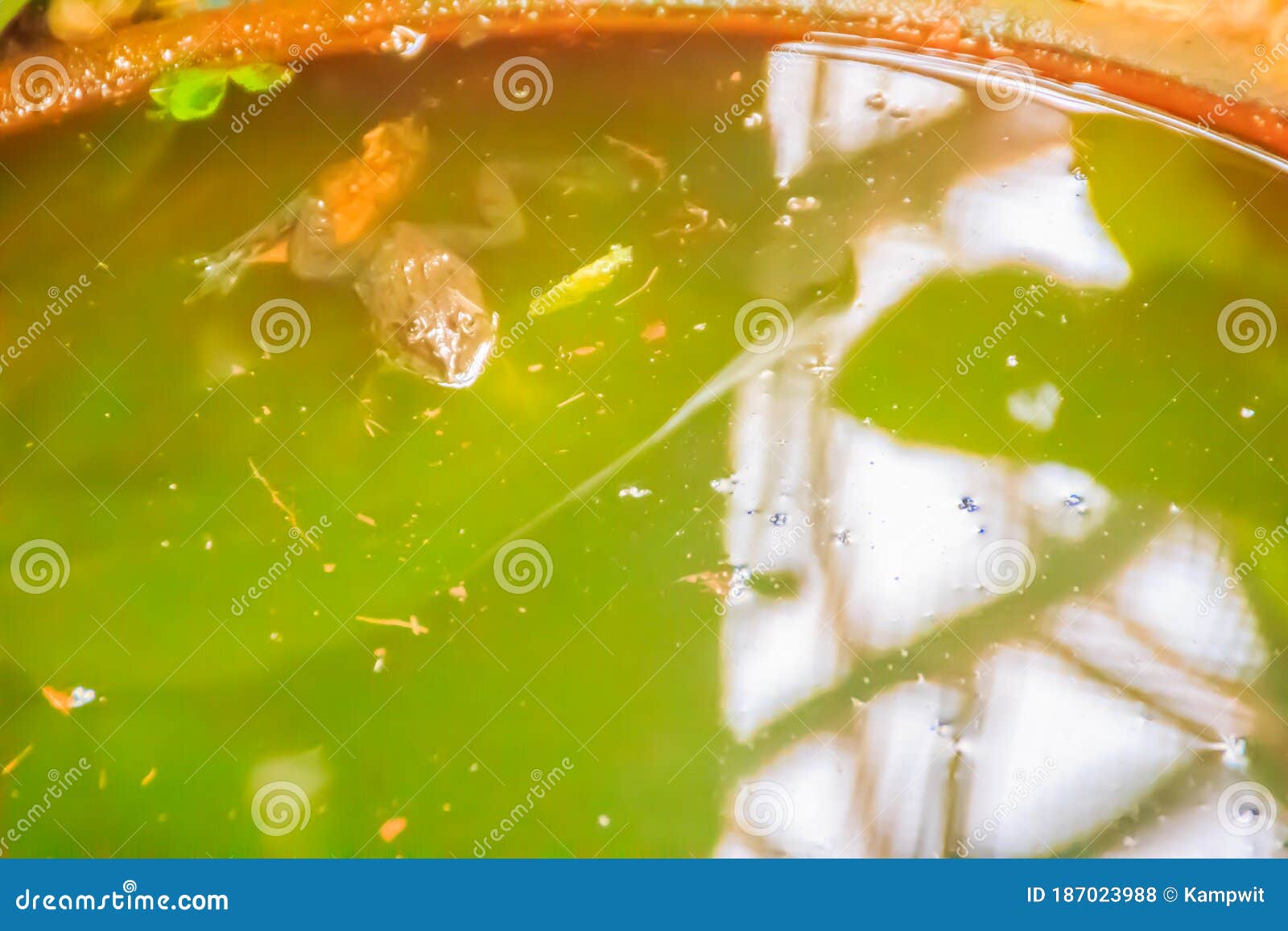 Cute Frog is Floating on the Green Water in the Fish Pond. a Green Frog ...