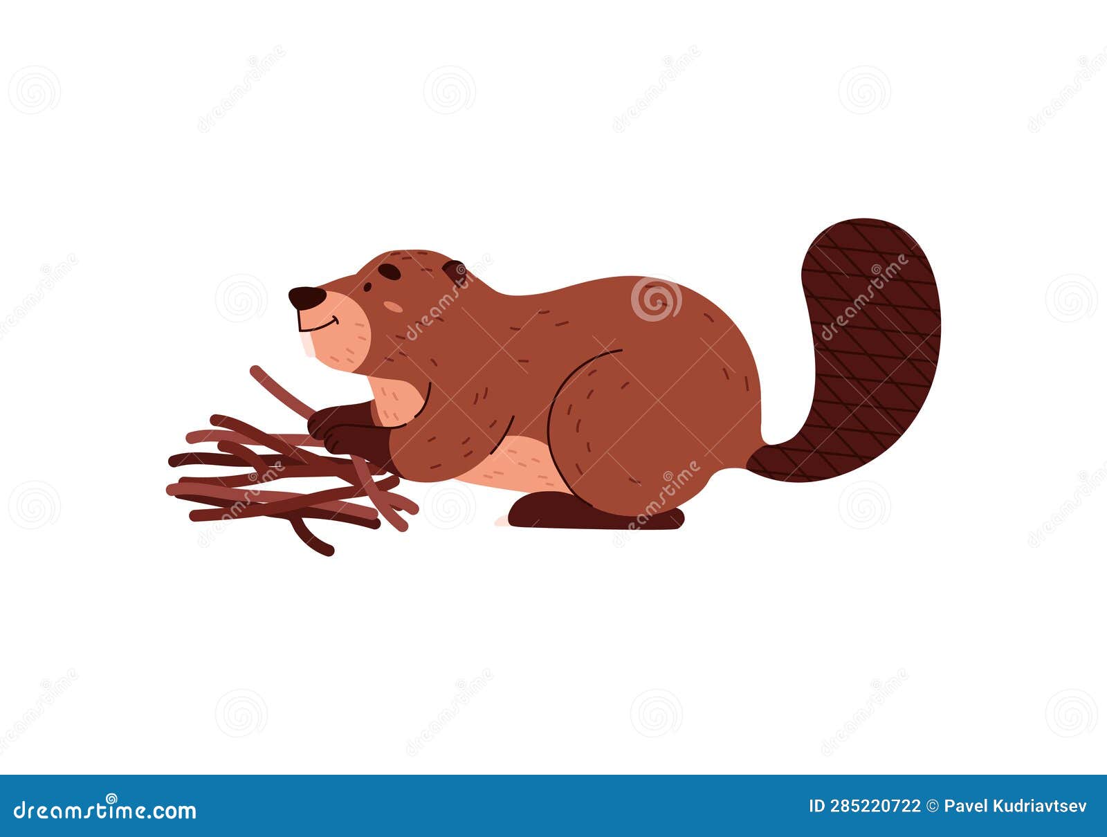 Beaver Side View. Drawing With Black Lines, Marker, Line Art. Vector ...