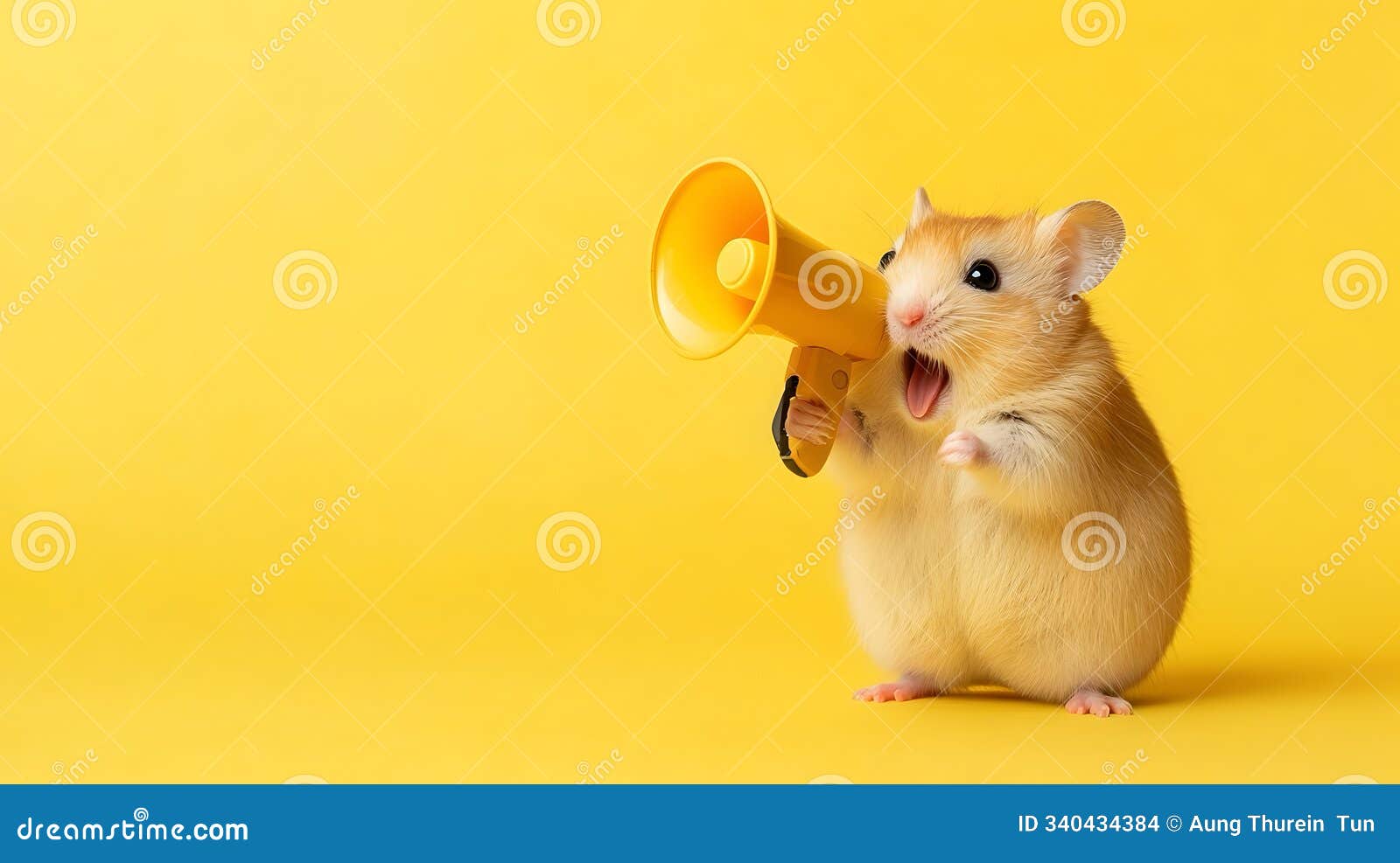 A Cute and Funny Hamster Holding a Megaphone and Announcing Stock Photo ...