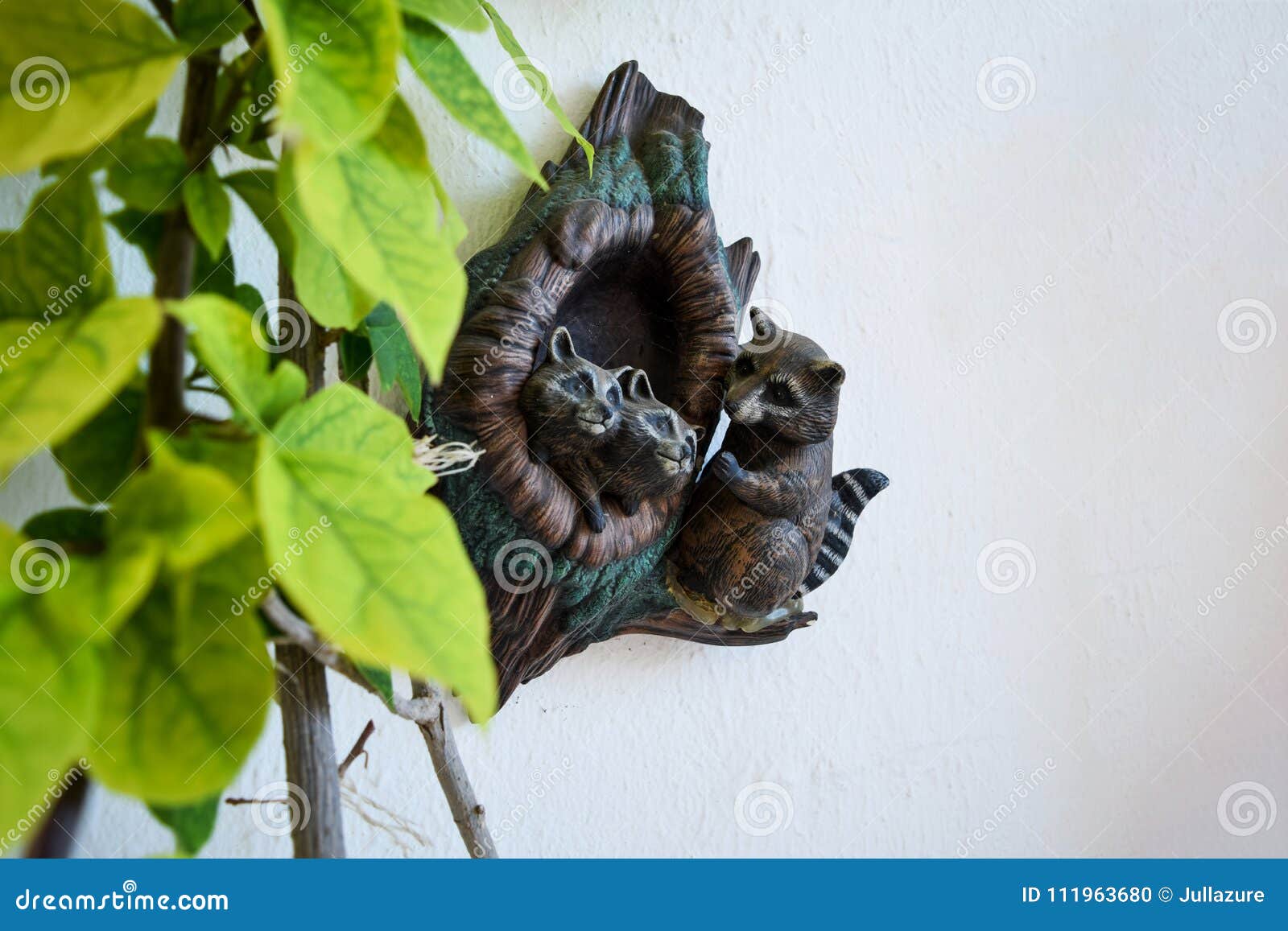 Japanese Badger Or Meles Anakuma At Mount Unzen Onsen Forest Royalty ...