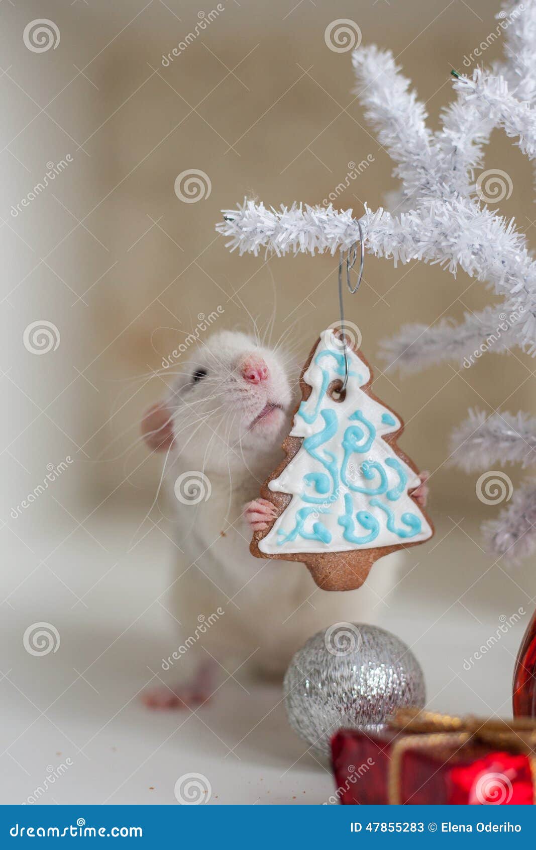 18,725 Funny Decorations Photos - Free & Royalty-Free Stock Photos from ...