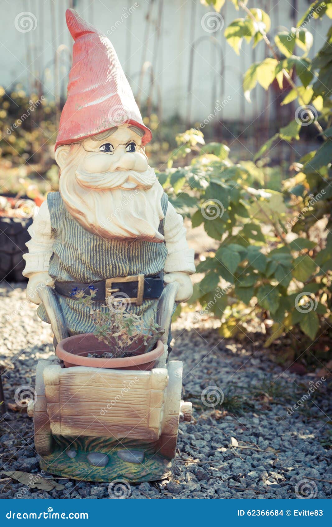 Cute Garden Dwarf in Sun Light. Autumn Concept Stock Photo - Image of ...