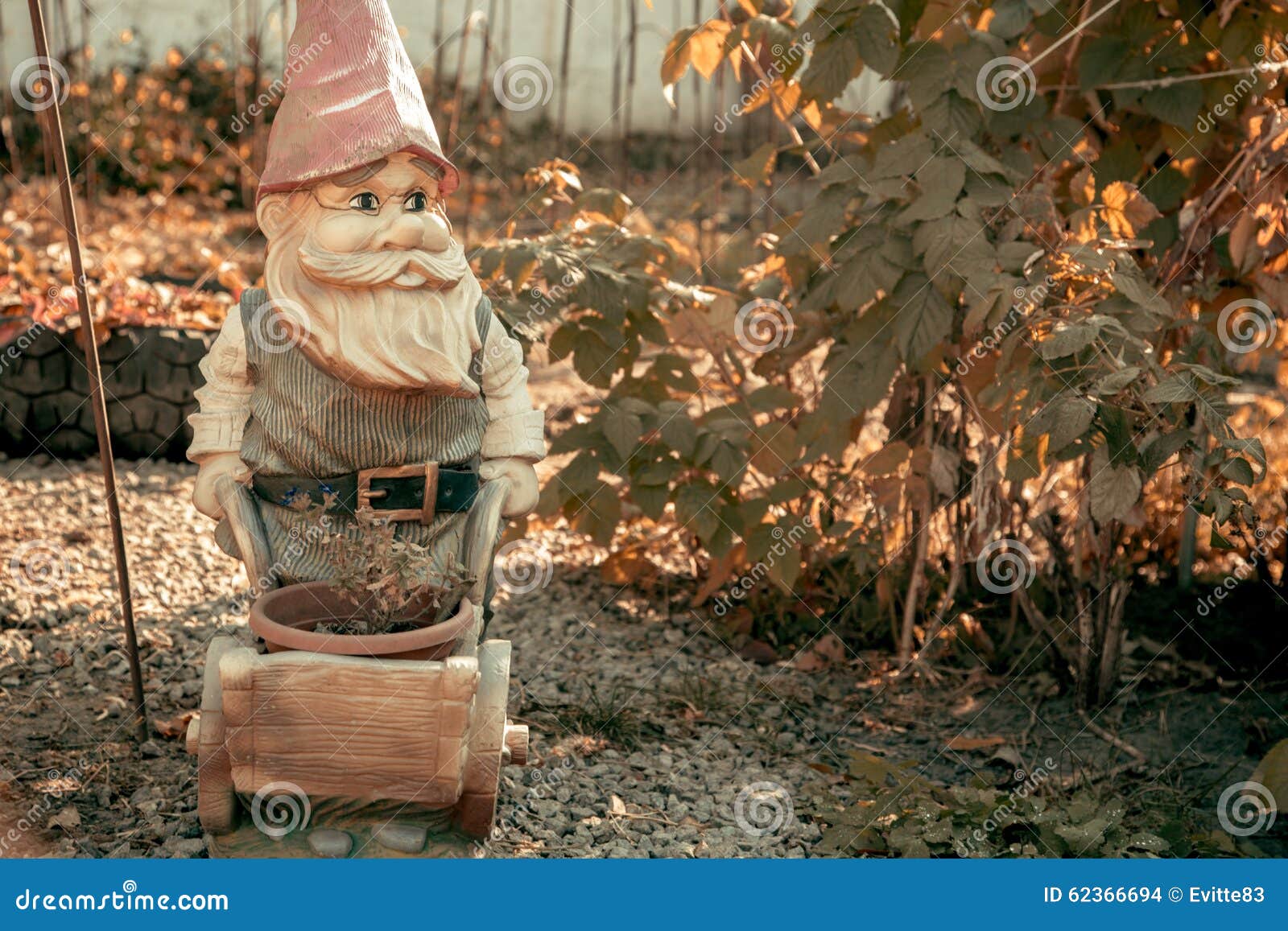 Cute Garden Dwarf in Sun Light. Autumn Concept Stock Photo - Image of ...