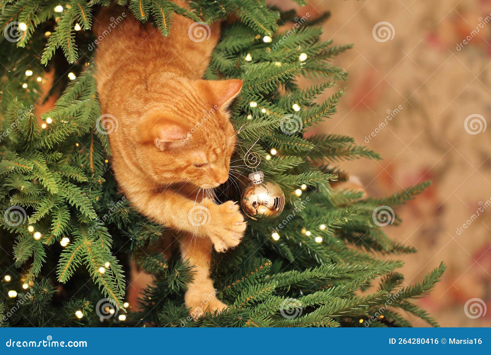 Cute Ginger Cat Playing on the Christmas Tree Stock Photo - Image of ...