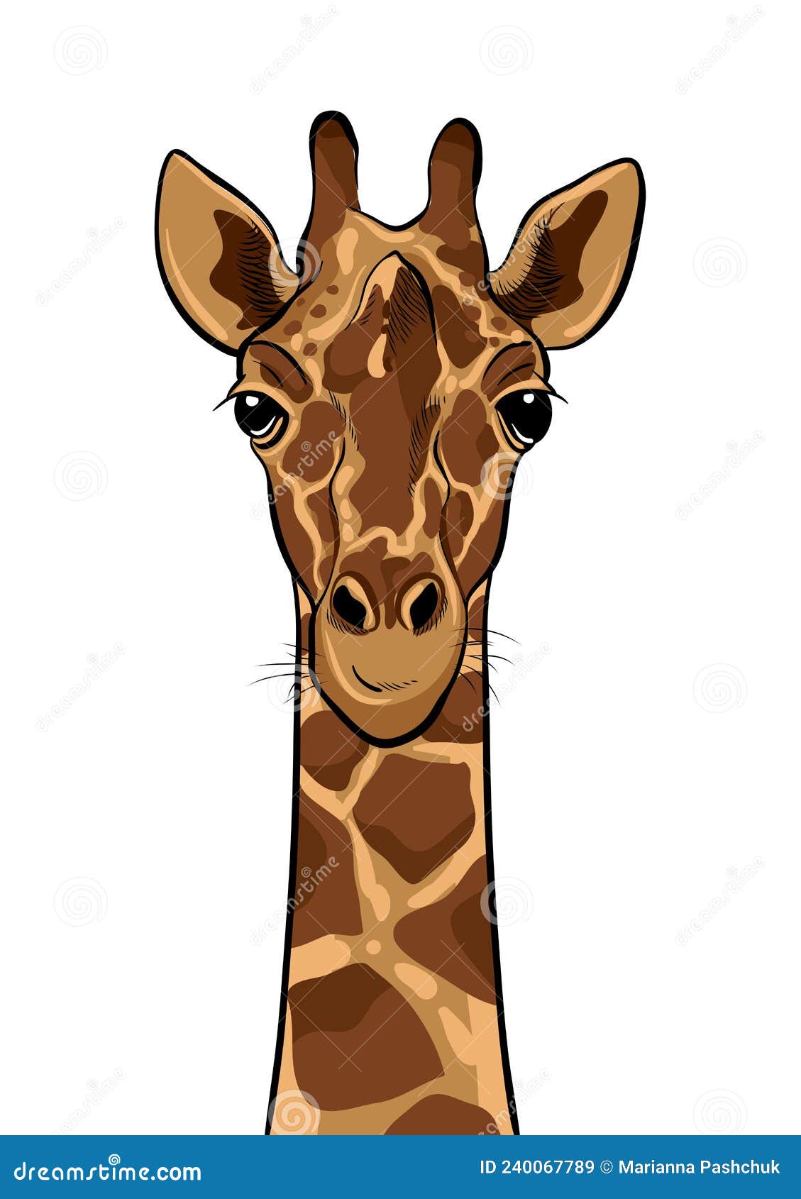 Cute Giraffe Head on White, Vector Illustration Stock Vector ...