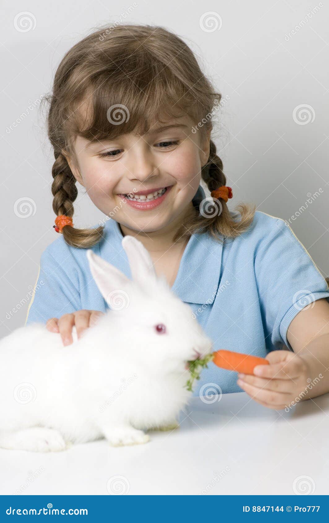 Cute girl and baby rabbit stock photo. Image of food, funny - 8847144