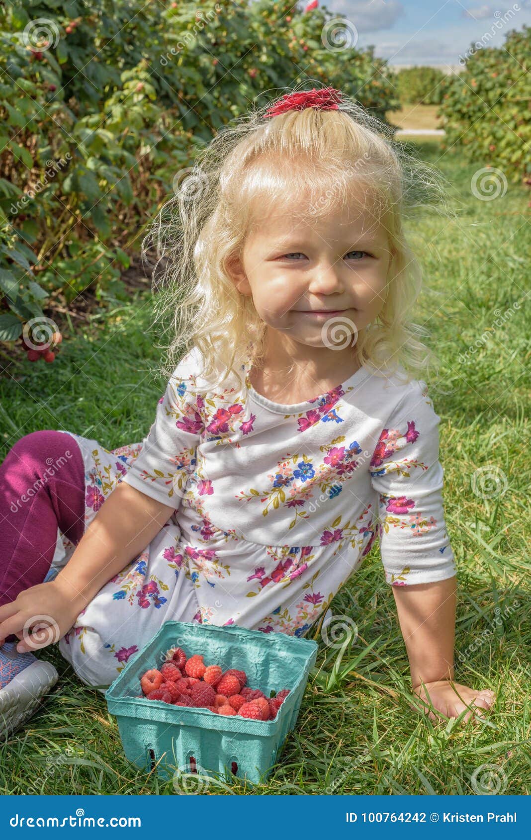 Cute girl in a berry patch stock photo. Image of hair - 100764242