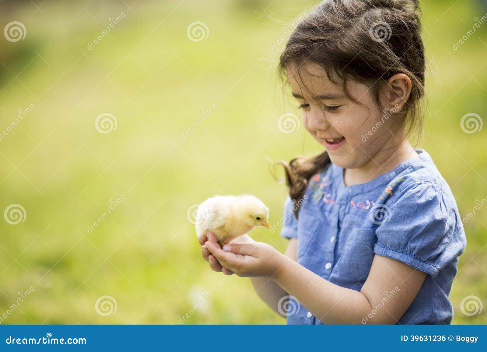 Cute girl with the chicken stock photo. Image of dress - 39631236